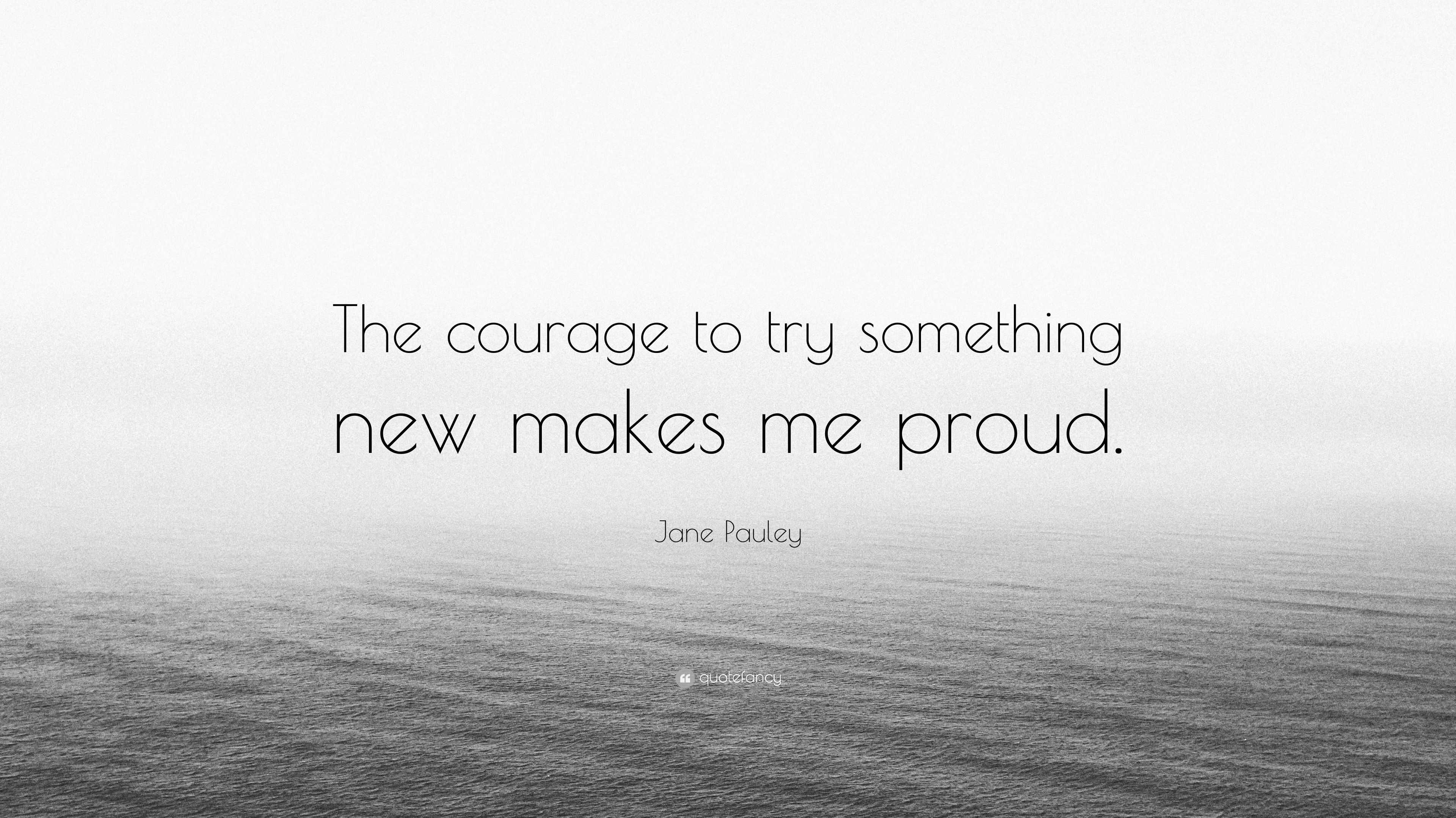 Jane Pauley Quote: “The courage to try something new makes me proud.”