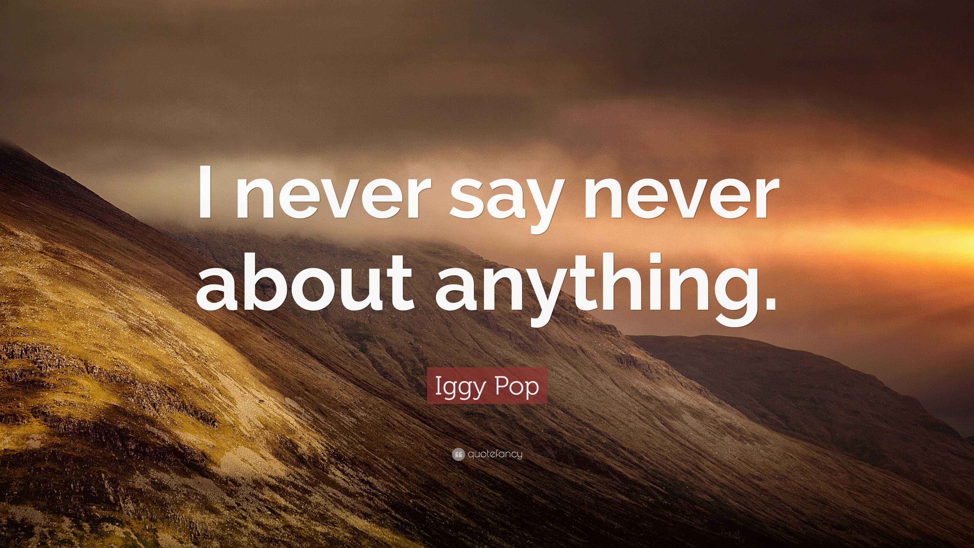Iggy Pop Quote: “I never say never about anything.”
