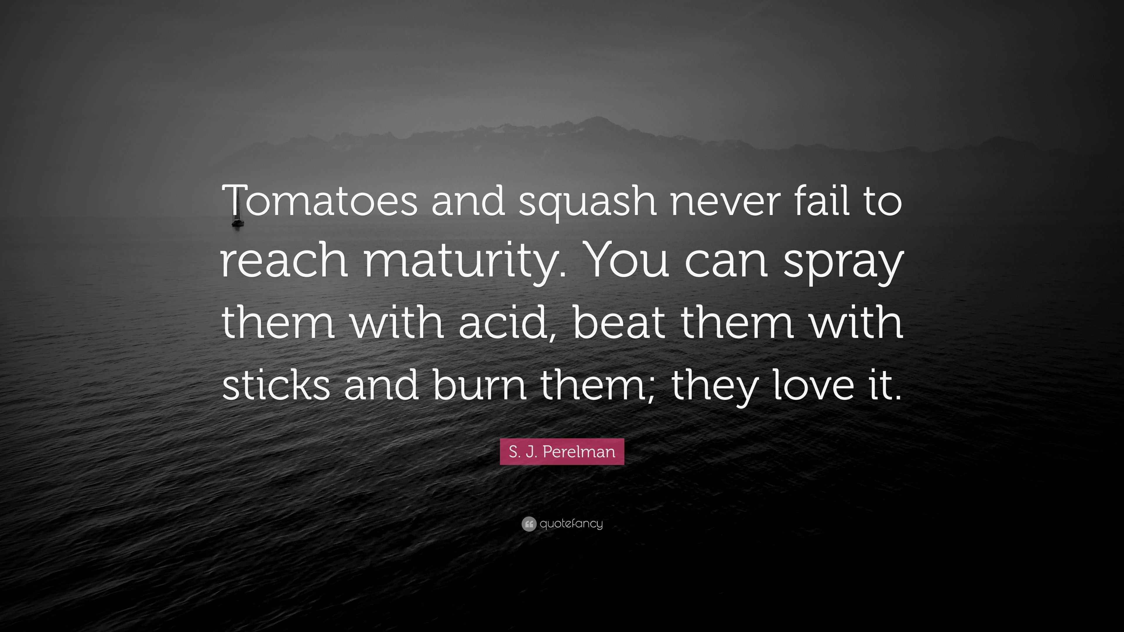 S. J. Perelman Quote: “Tomatoes and squash never fail to reach maturity ...