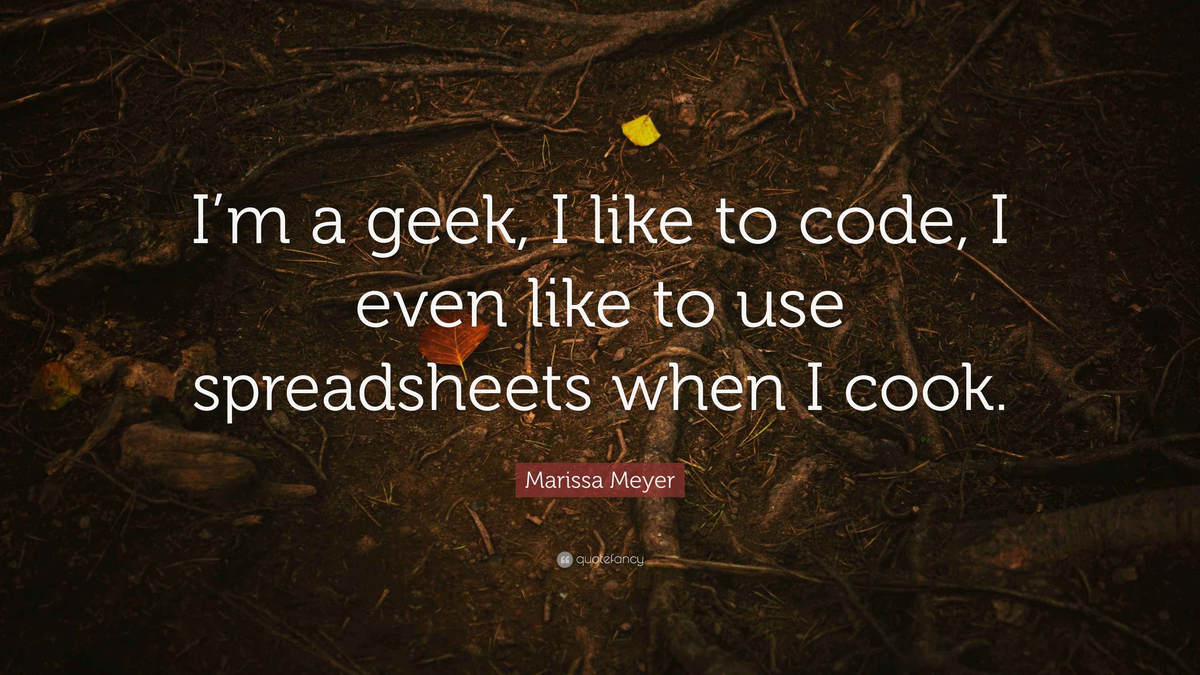 Marissa Meyer Quote: “I’m a geek, I like to code, I even like to use ...
