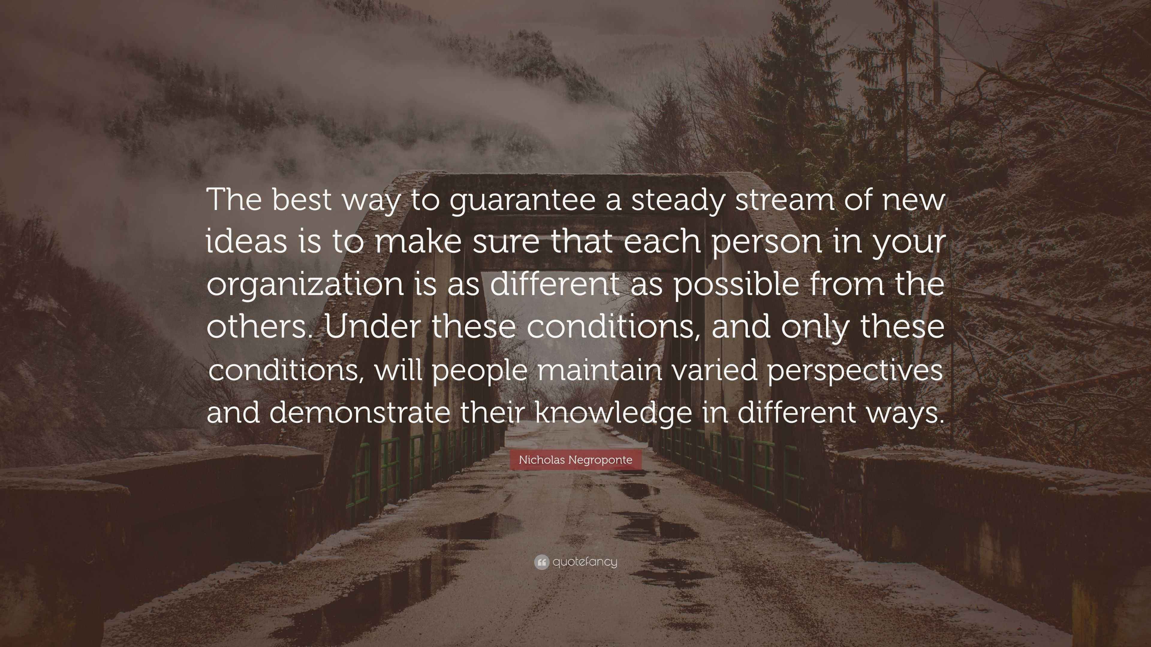 Steady Quotes