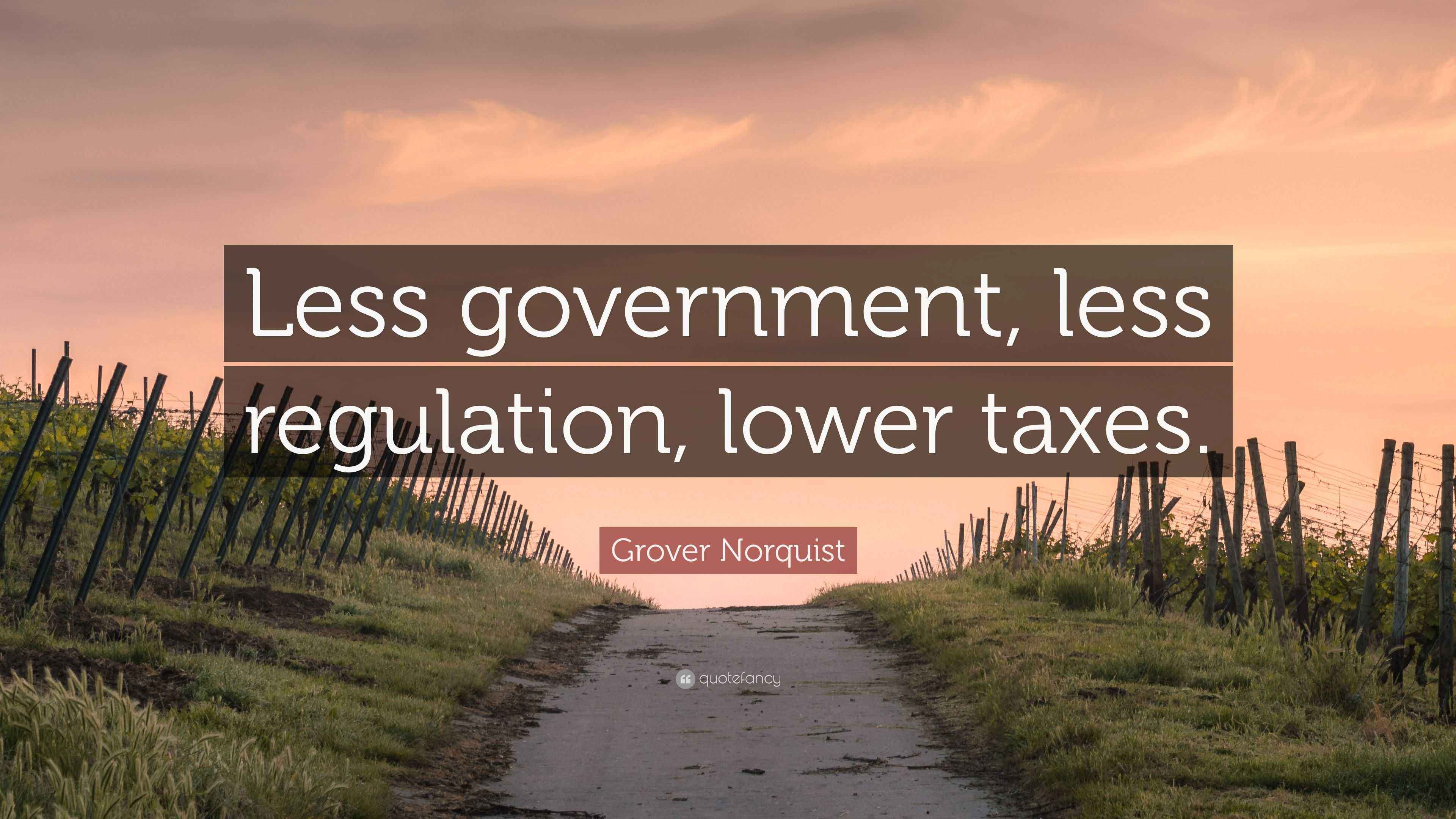 Grover Norquist Quote: “Less government, less regulation, lower taxes.”