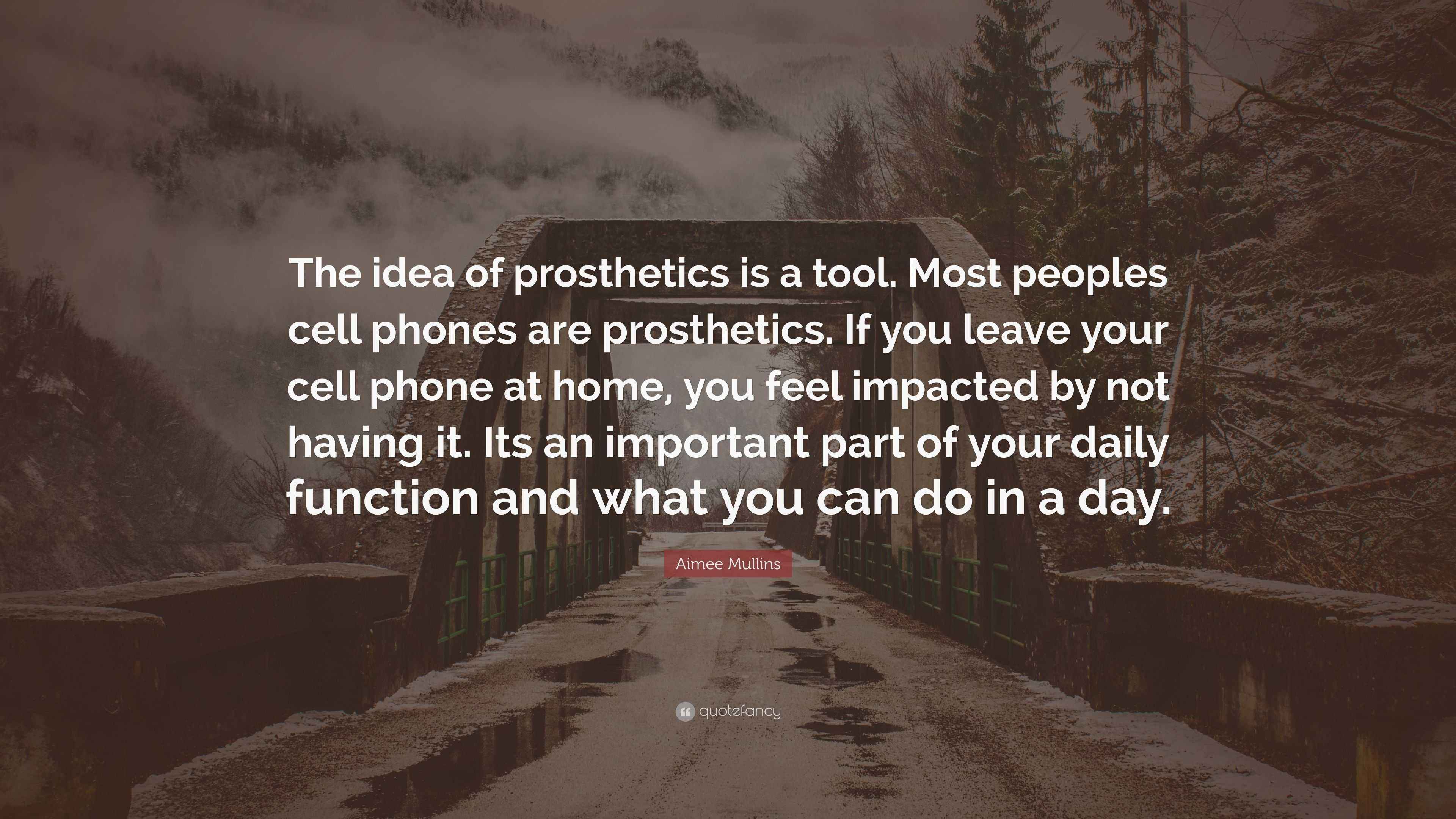 Aimee Mullins Quote: “The idea of prosthetics is a tool. Most peoples ...