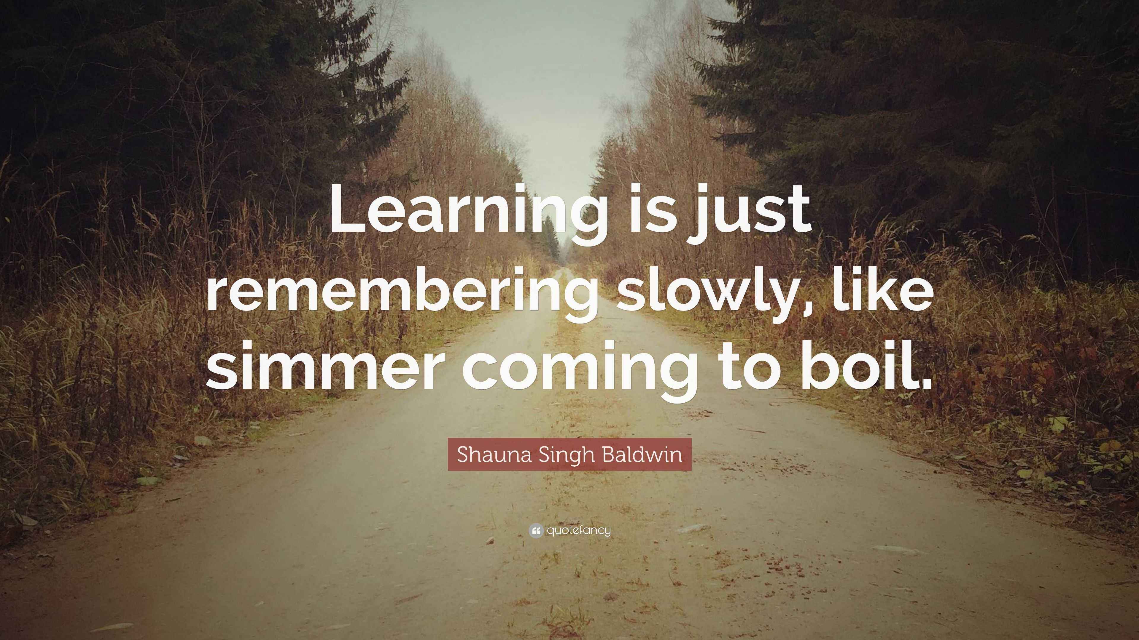 Shauna Singh Baldwin Quote: “Learning is just remembering slowly, like ...