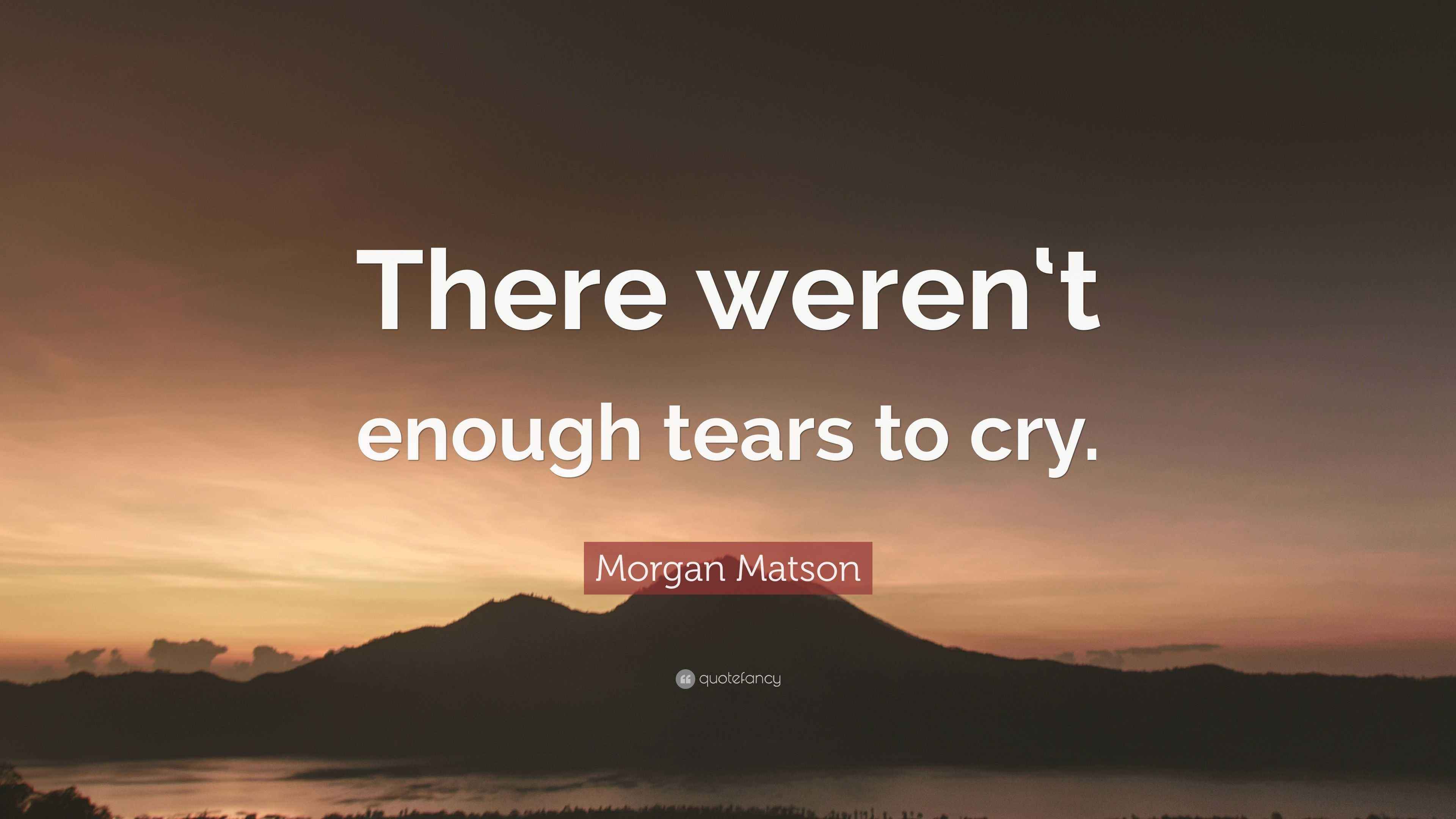 Morgan Matson Quote: “There weren‘t enough tears to cry.”