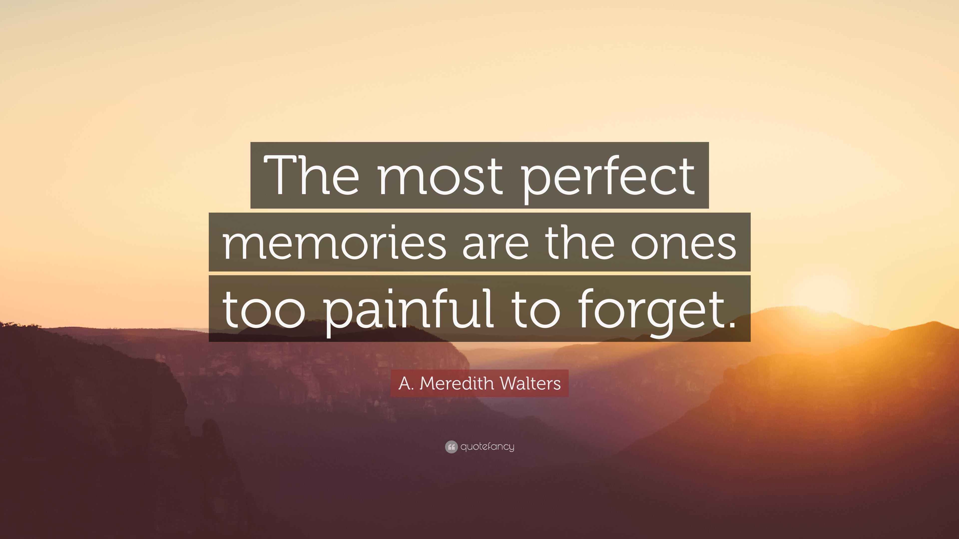 A. Meredith Walters Quote: “The most perfect memories are the ones too ...