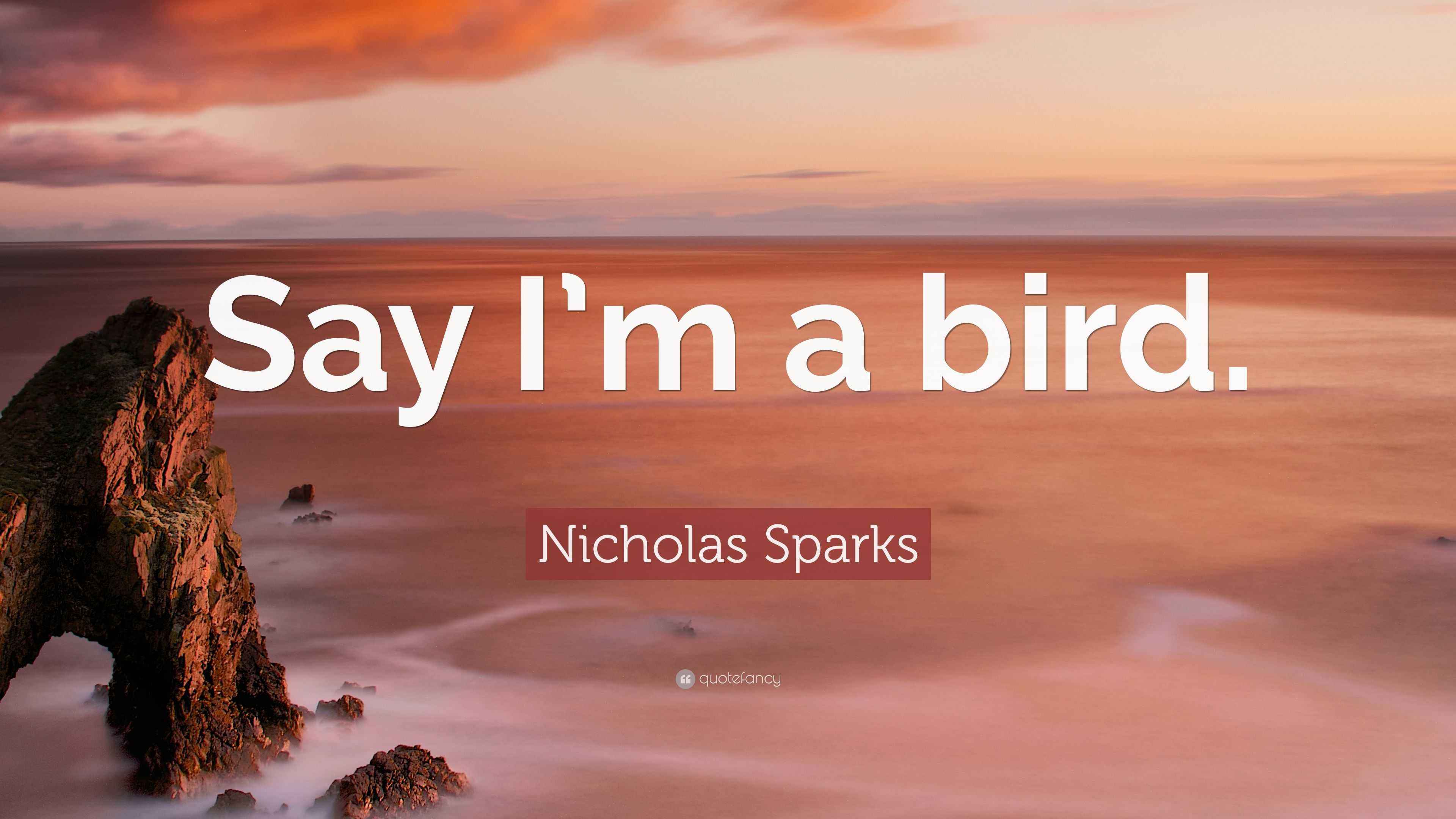 Nicholas Sparks Quote: “Say I’m a bird.”