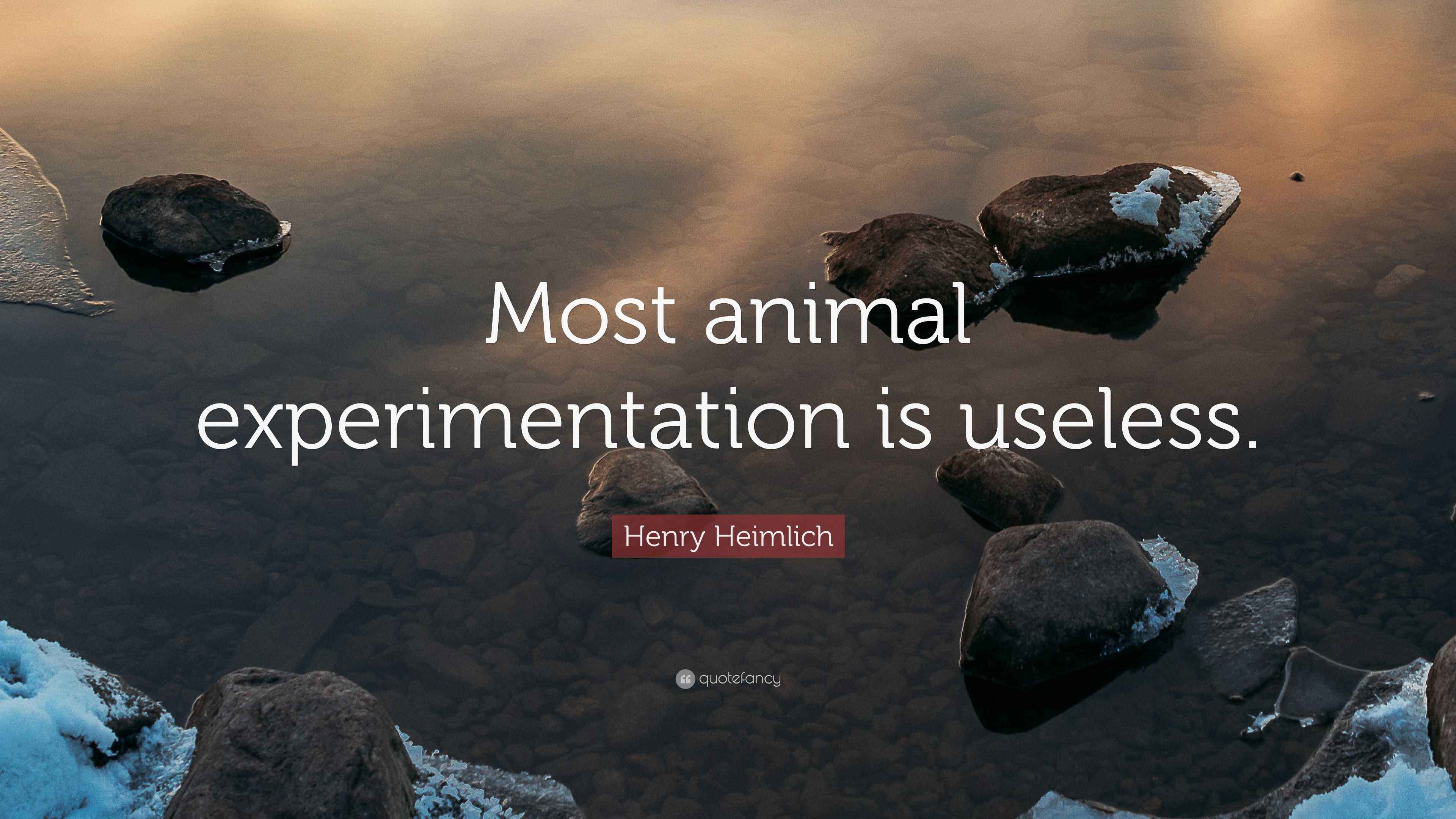 Henry Heimlich Quote: “Most animal experimentation is useless.”
