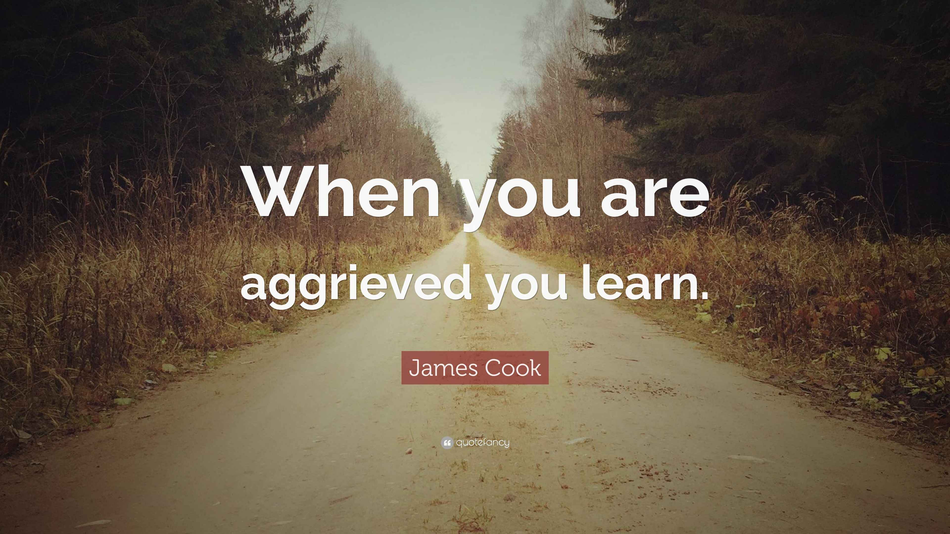James Cook Quote: “When you are aggrieved you learn.”