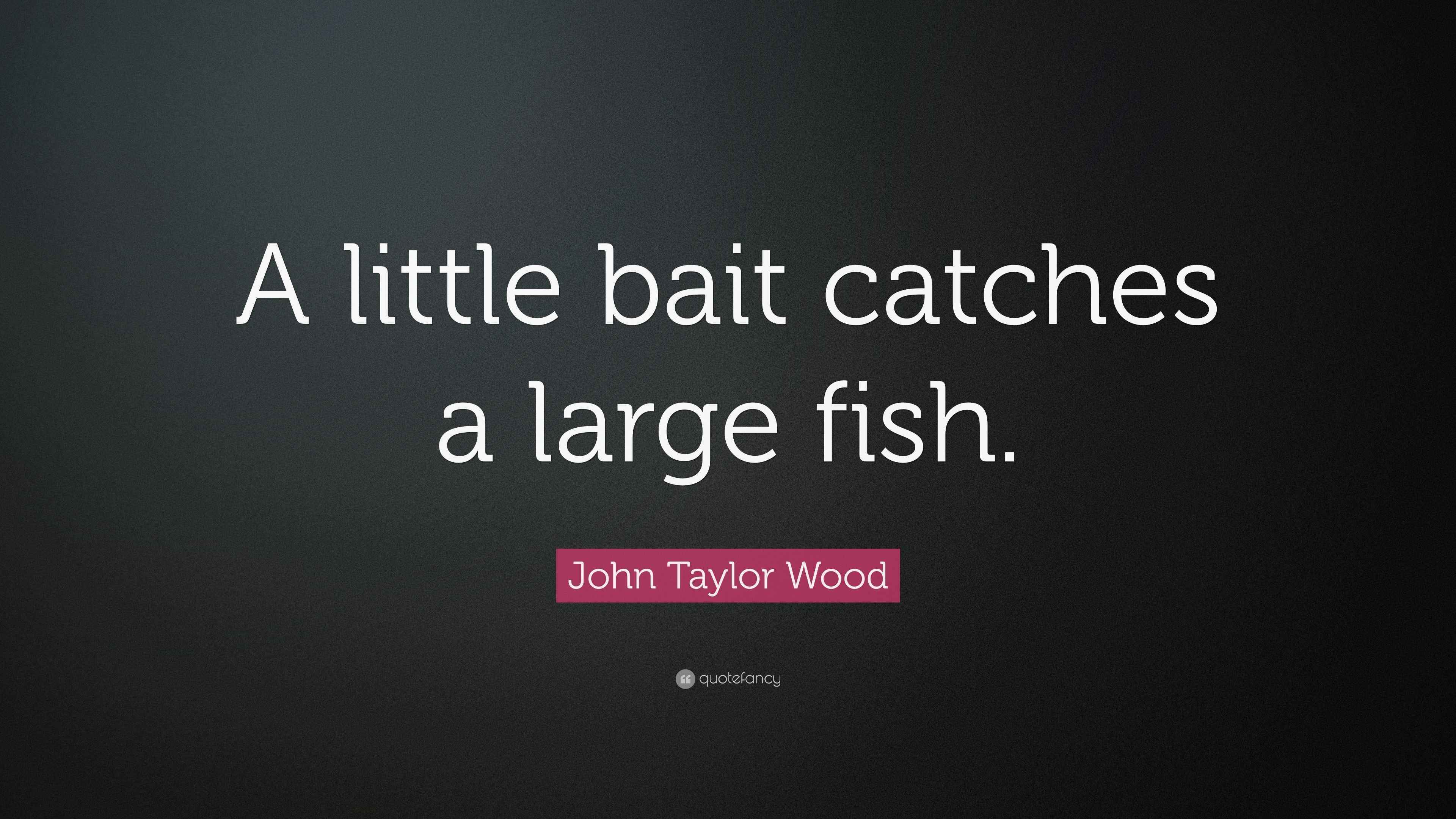 John Taylor Wood Quote: “A little bait catches a large fish.”