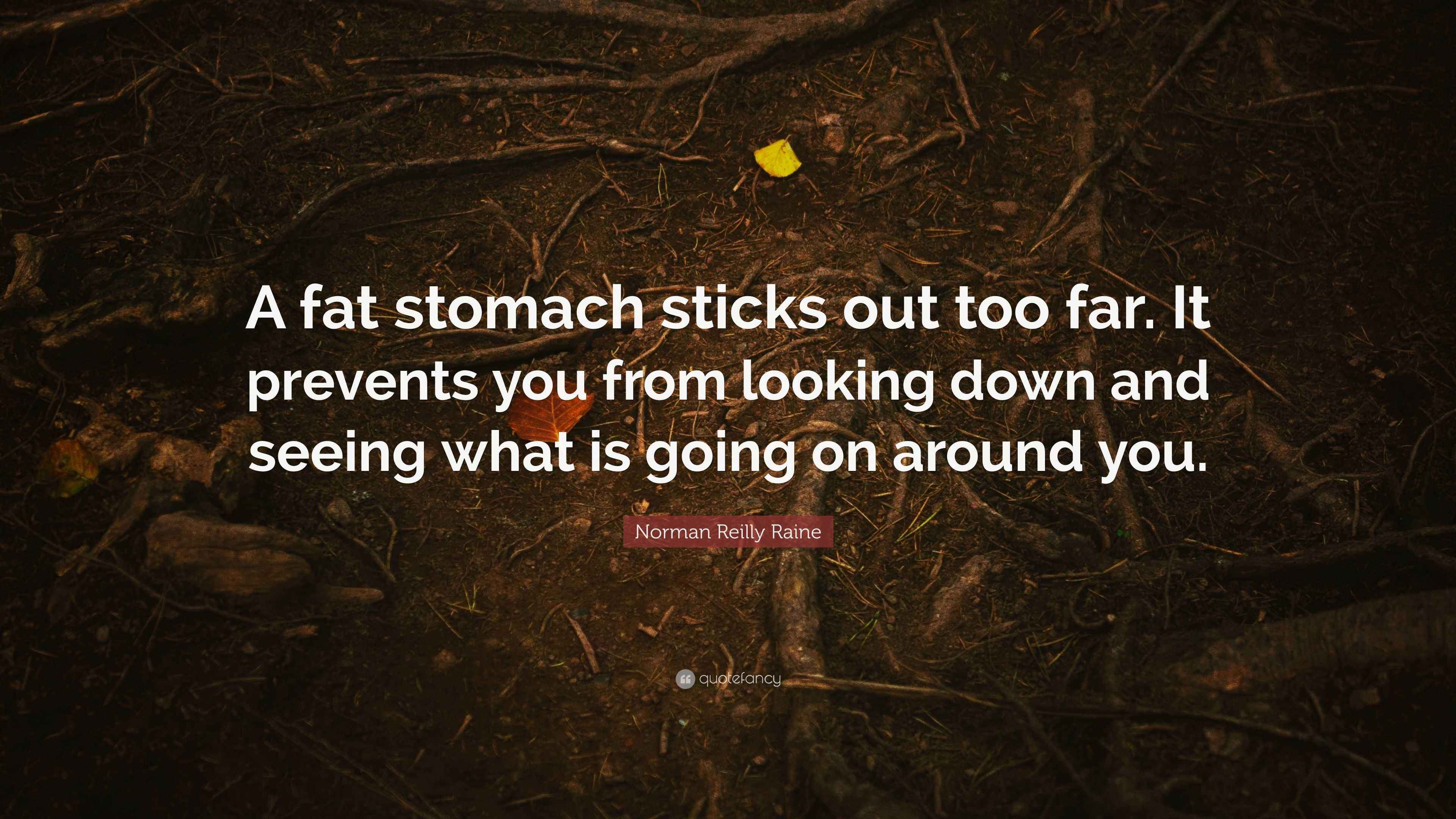 Norman Reilly Raine Quote: “A fat stomach sticks out too far. It ...