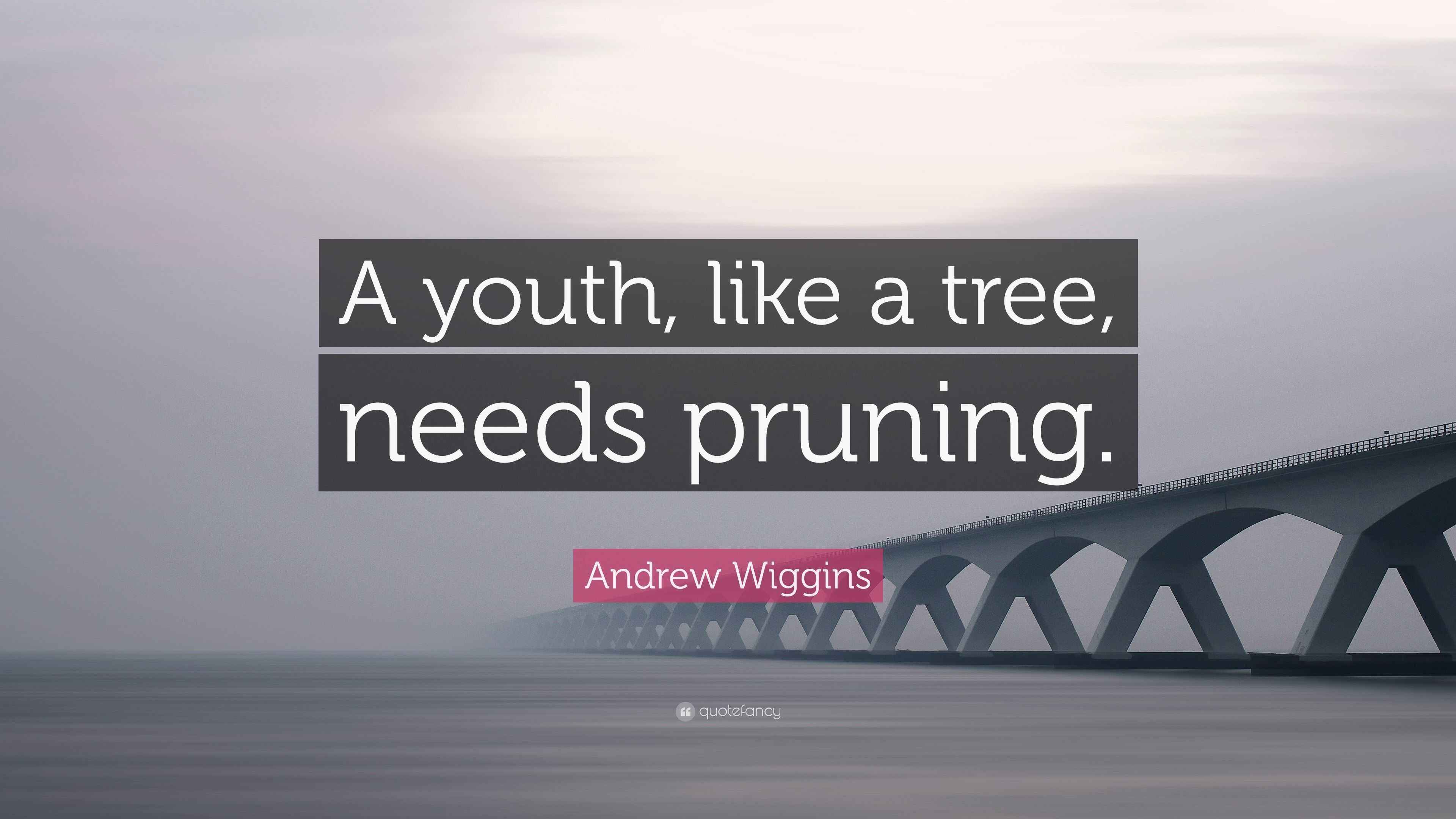 Andrew Wiggins Quote: “A youth, like a tree, needs pruning.”