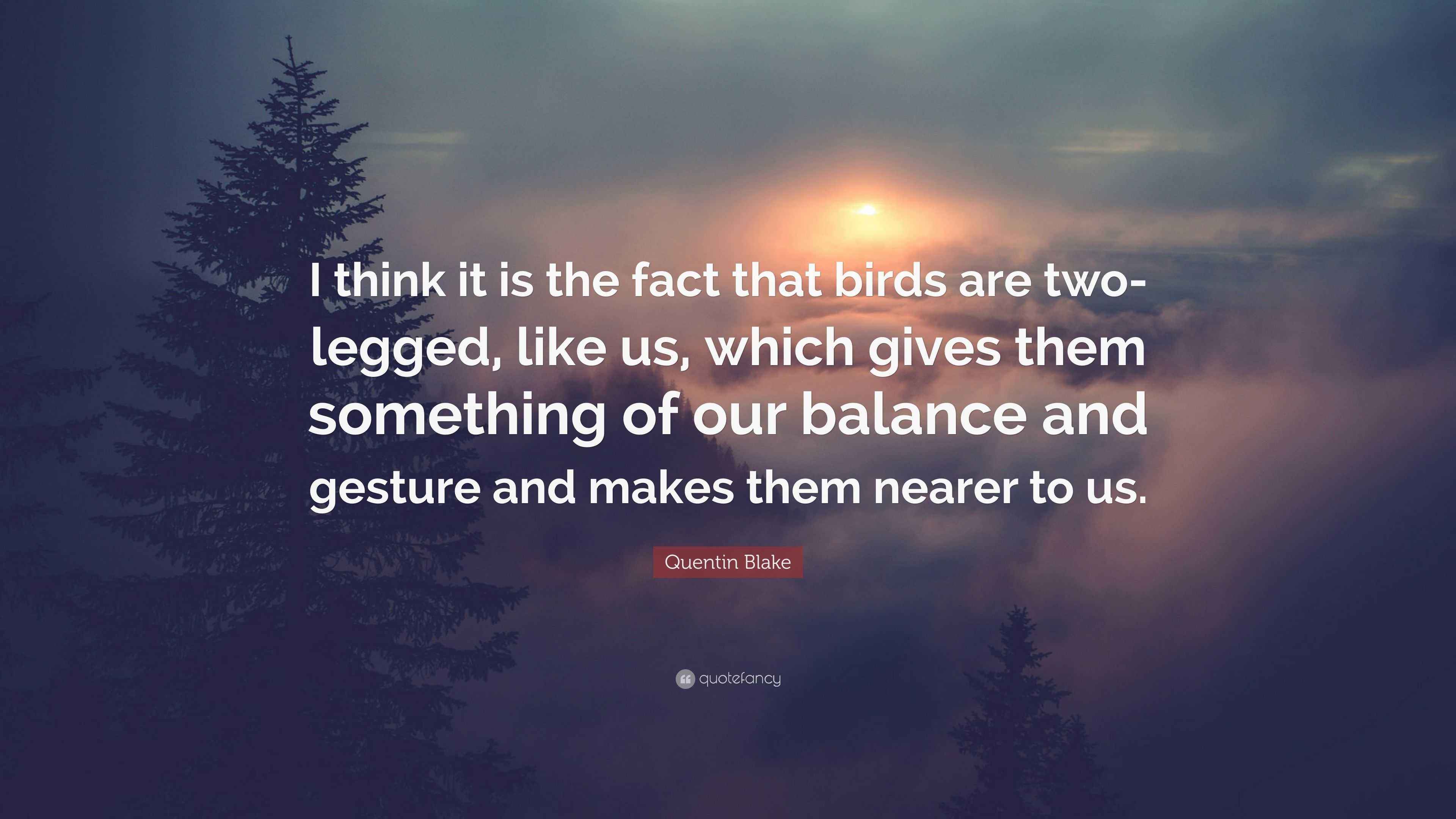 Quentin Blake Quote: “I think it is the fact that birds are two-legged ...