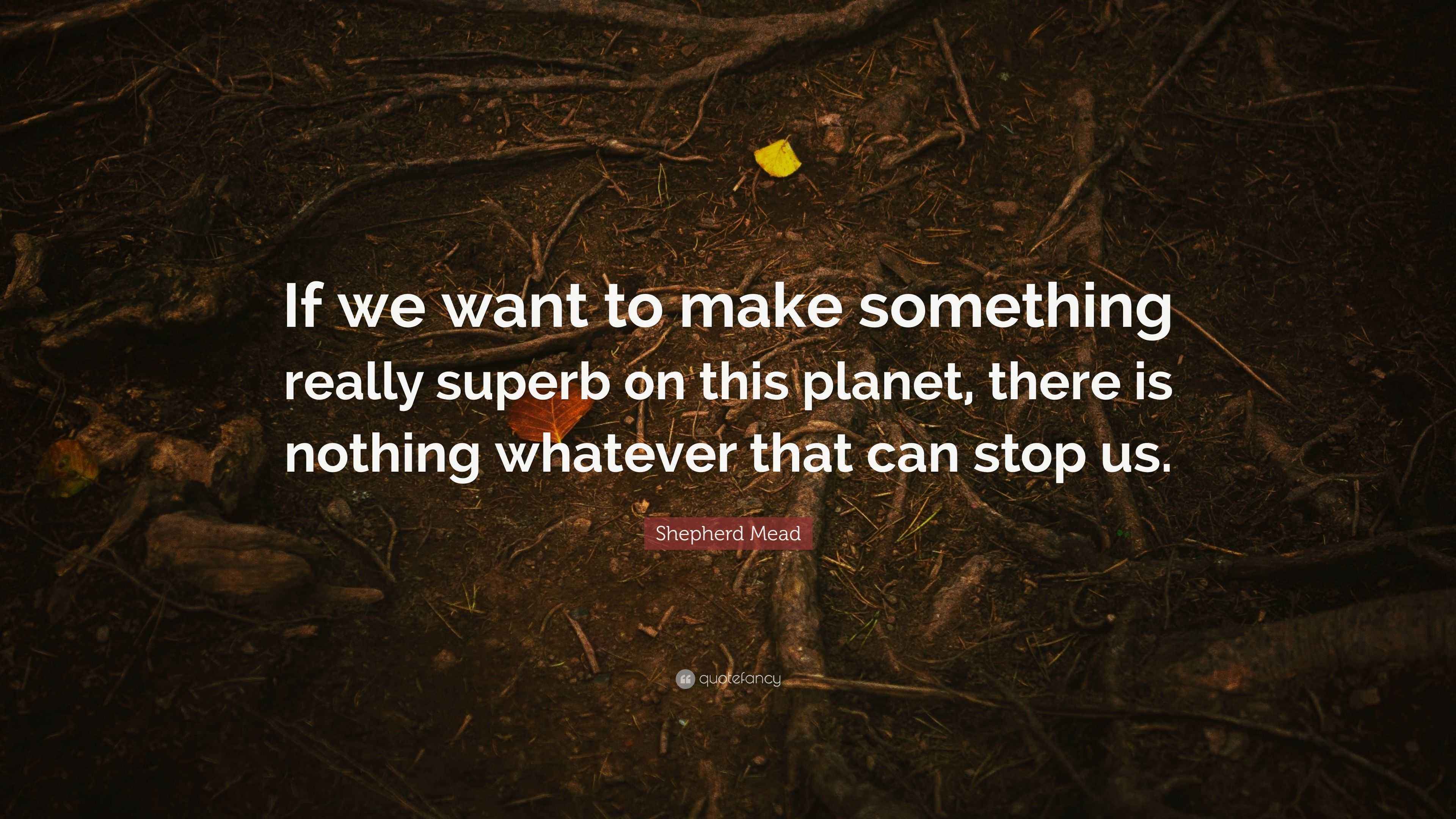 Shepherd Mead Quote: “If we want to make something really superb on ...