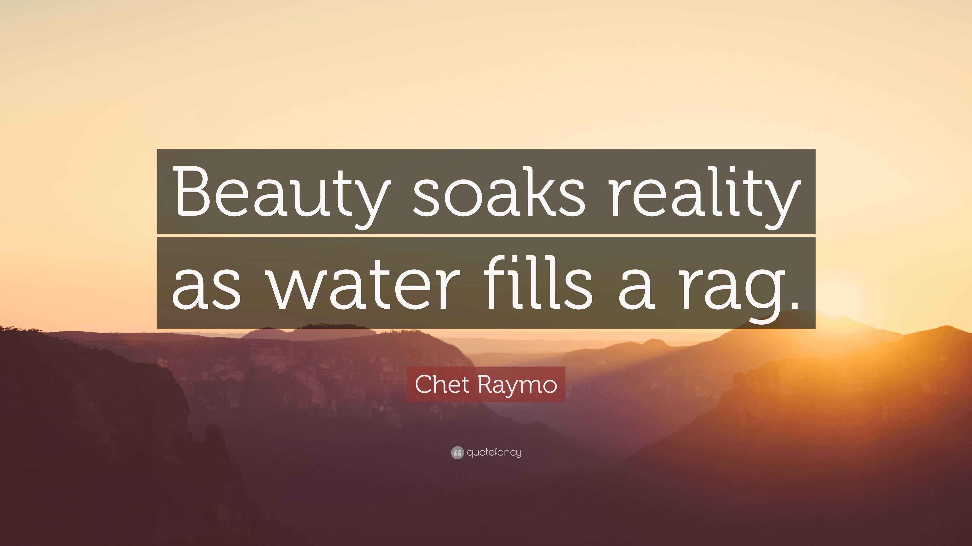 Chet Raymo Quote: “Beauty soaks reality as water fills a rag.”