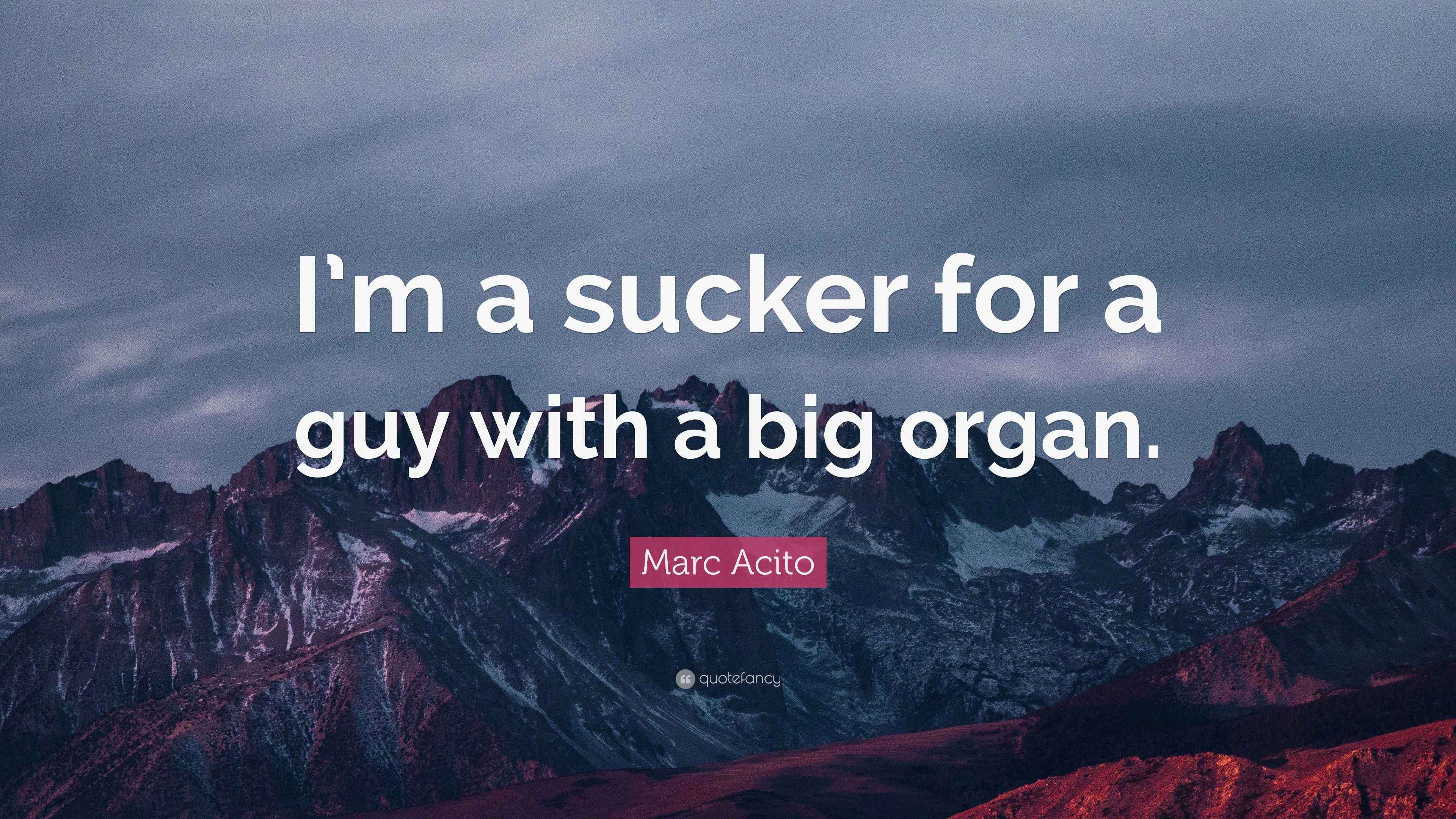 Marc Acito Quote: “I’m a sucker for a guy with a big organ.”