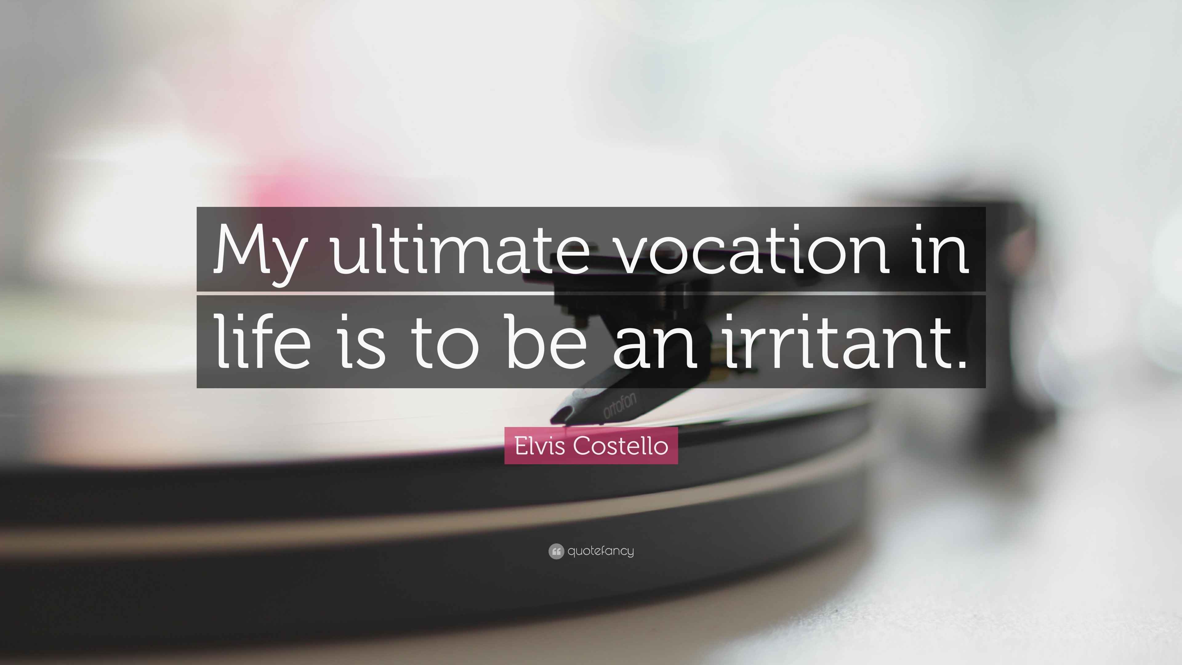 Elvis Costello Quote: “My ultimate vocation in life is to be an irritant.”