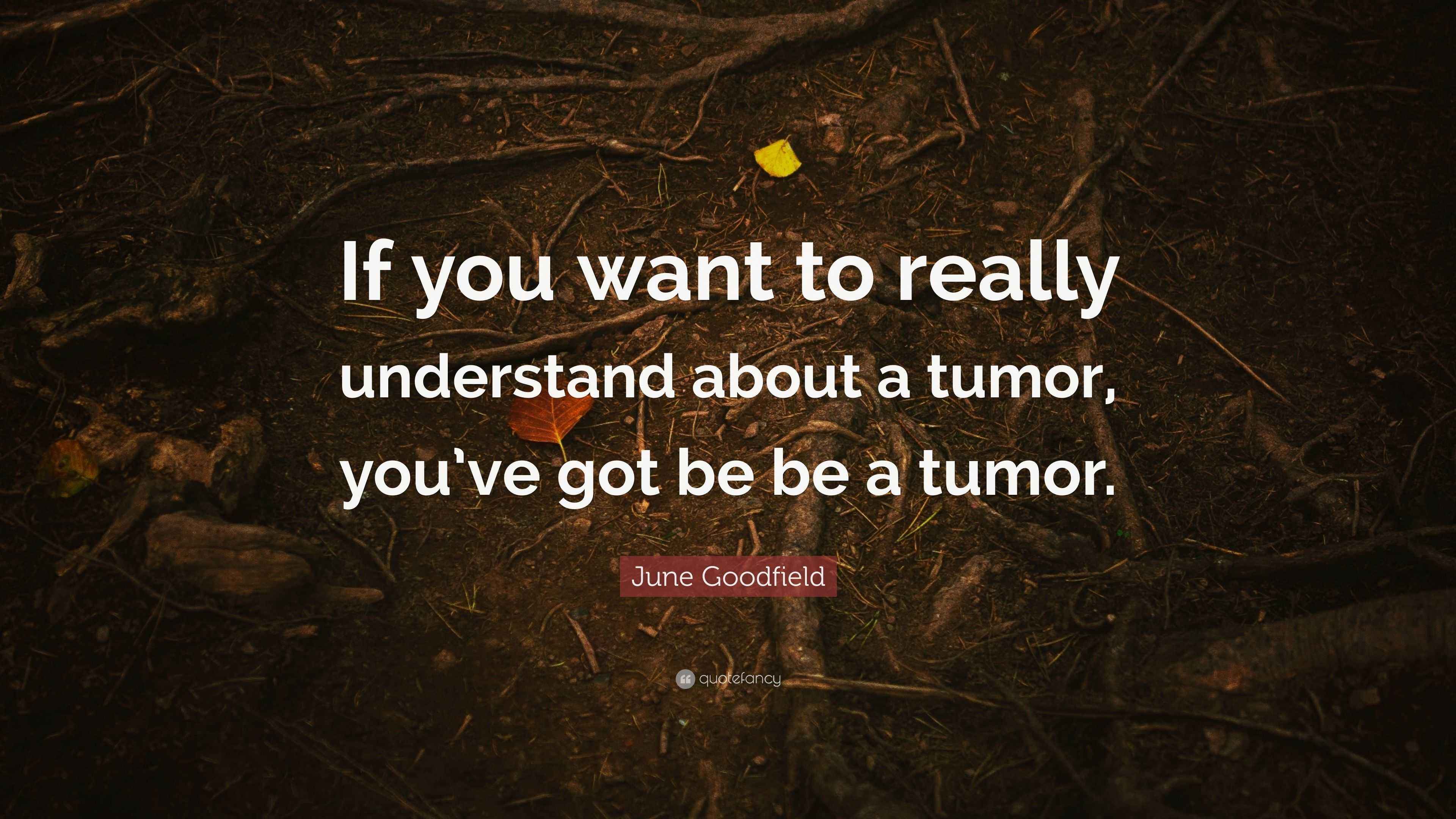 June Goodfield Quote: “If you want to really understand about a tumor ...