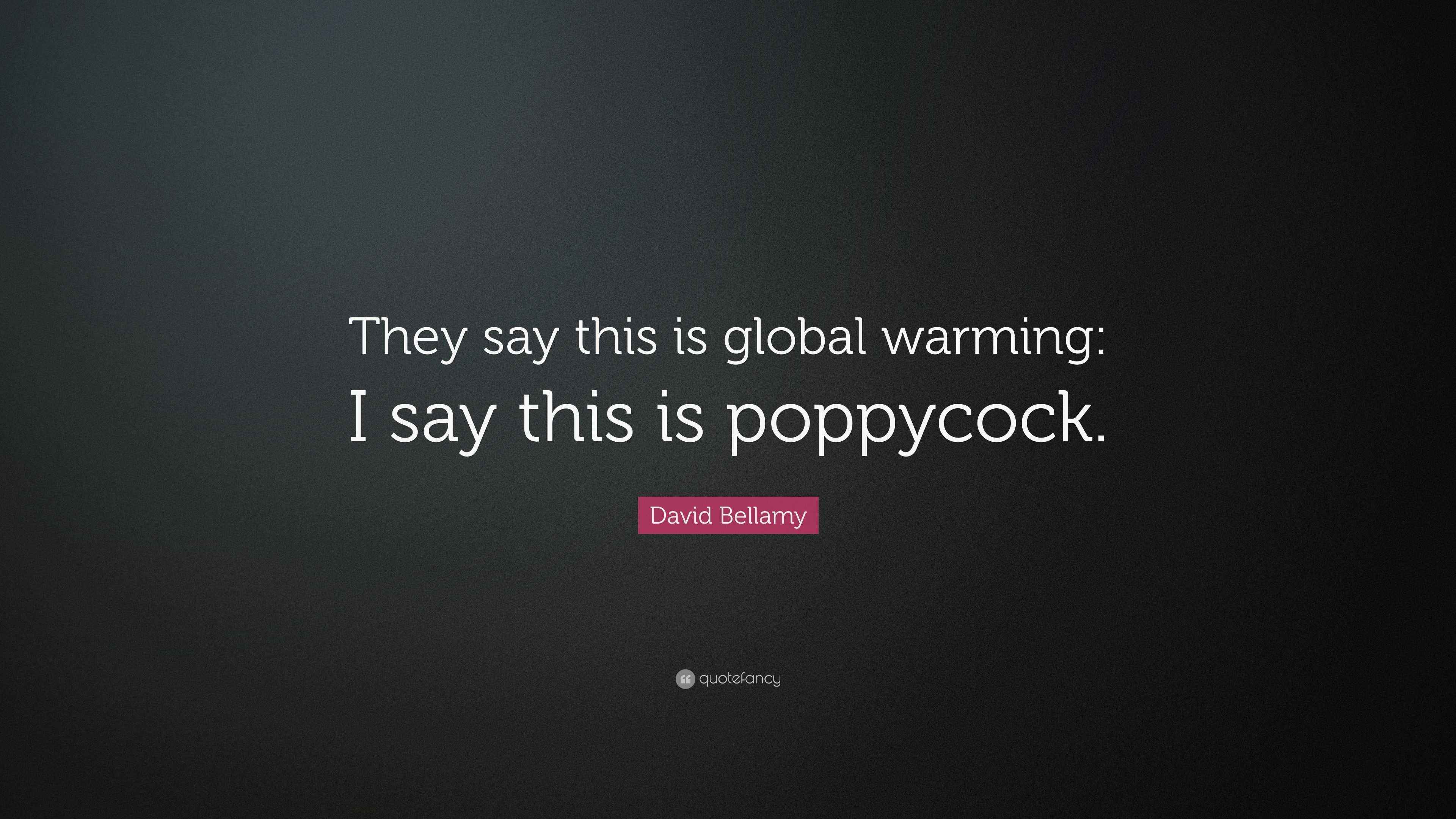 David Bellamy Quote: “They say this is global warming: I say this is ...
