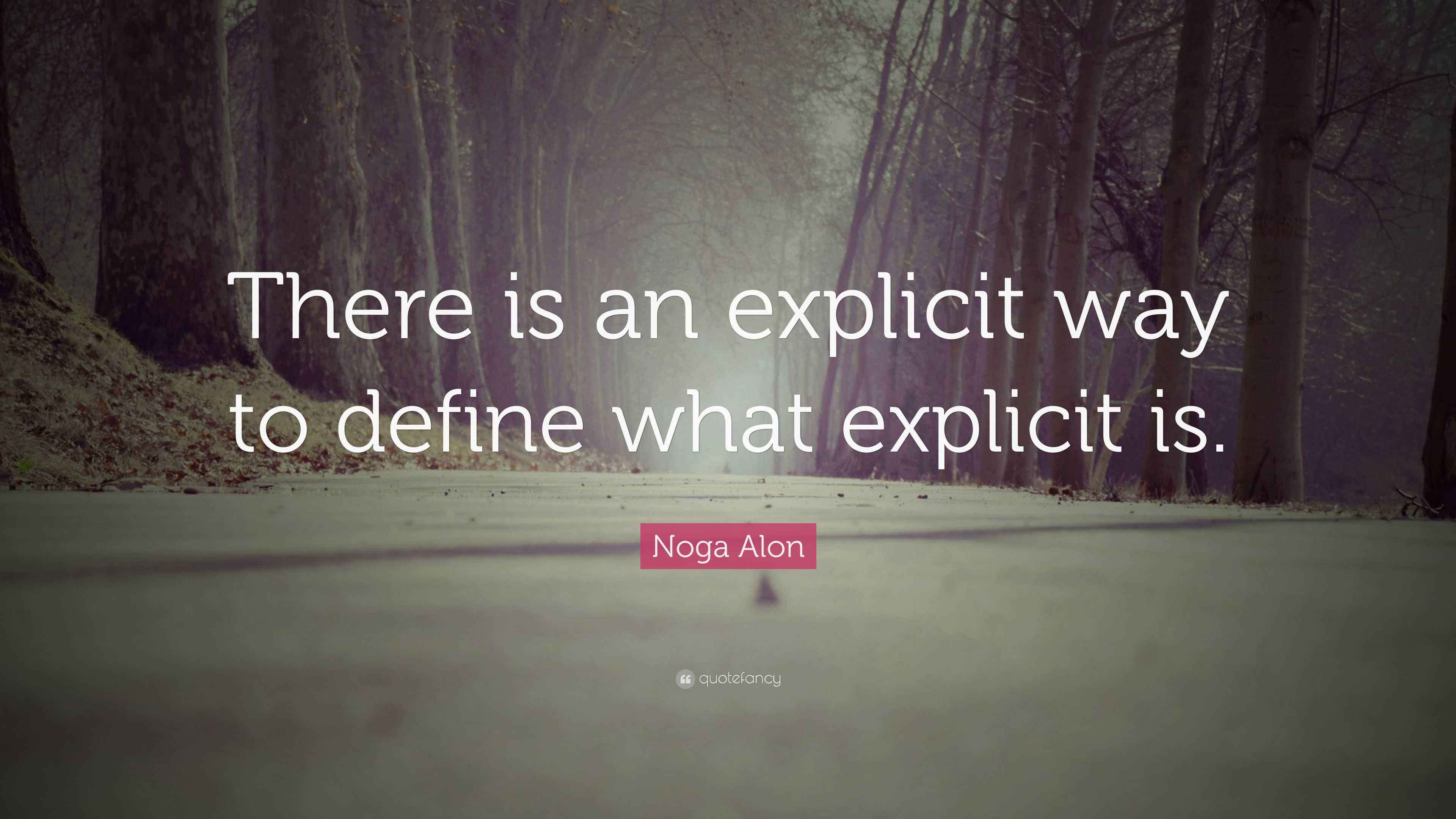 Noga Alon Quote: “There is an explicit way to define what explicit is.”