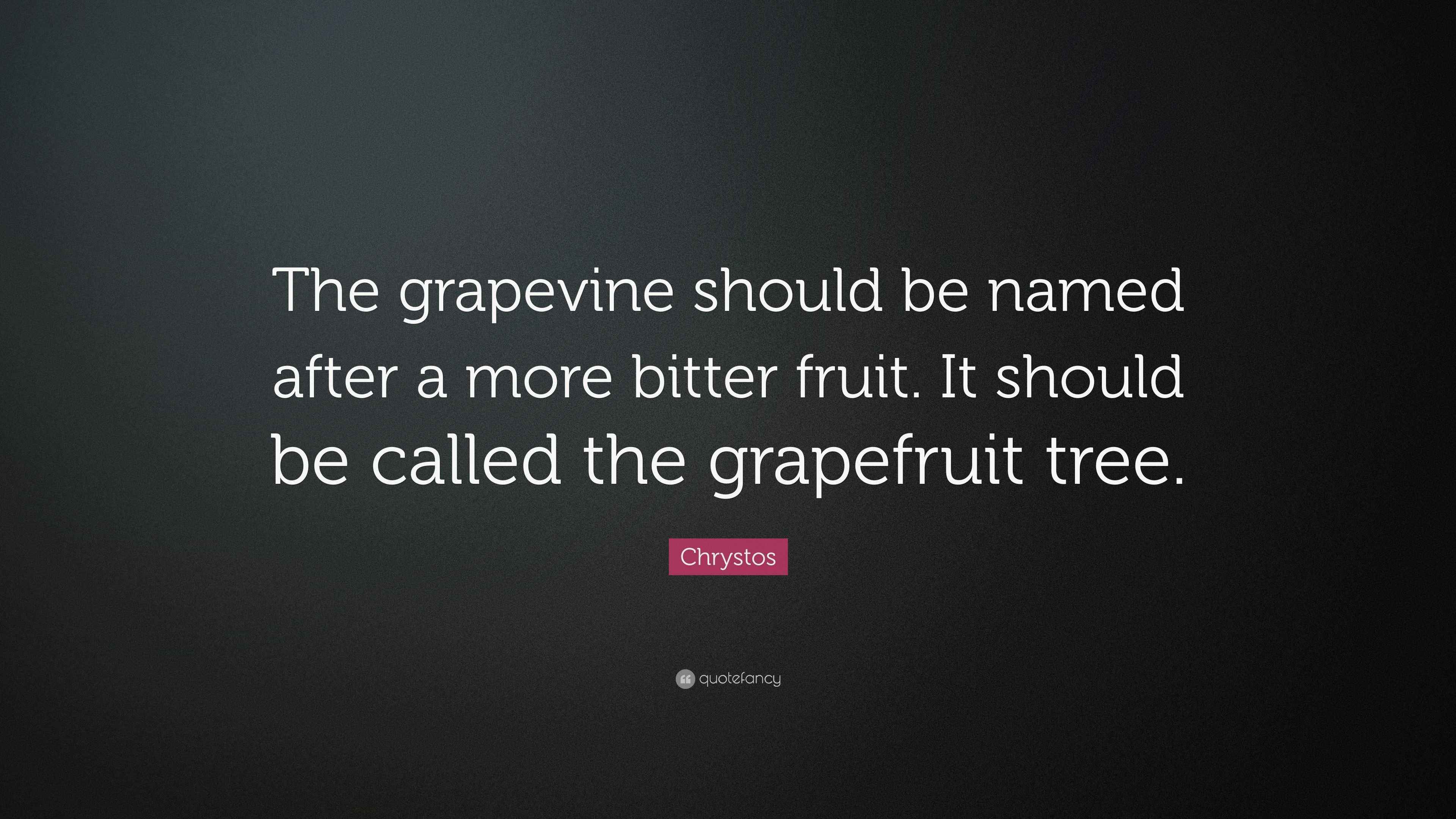 Chrystos Quote: “The grapevine should be named after a more bitter ...