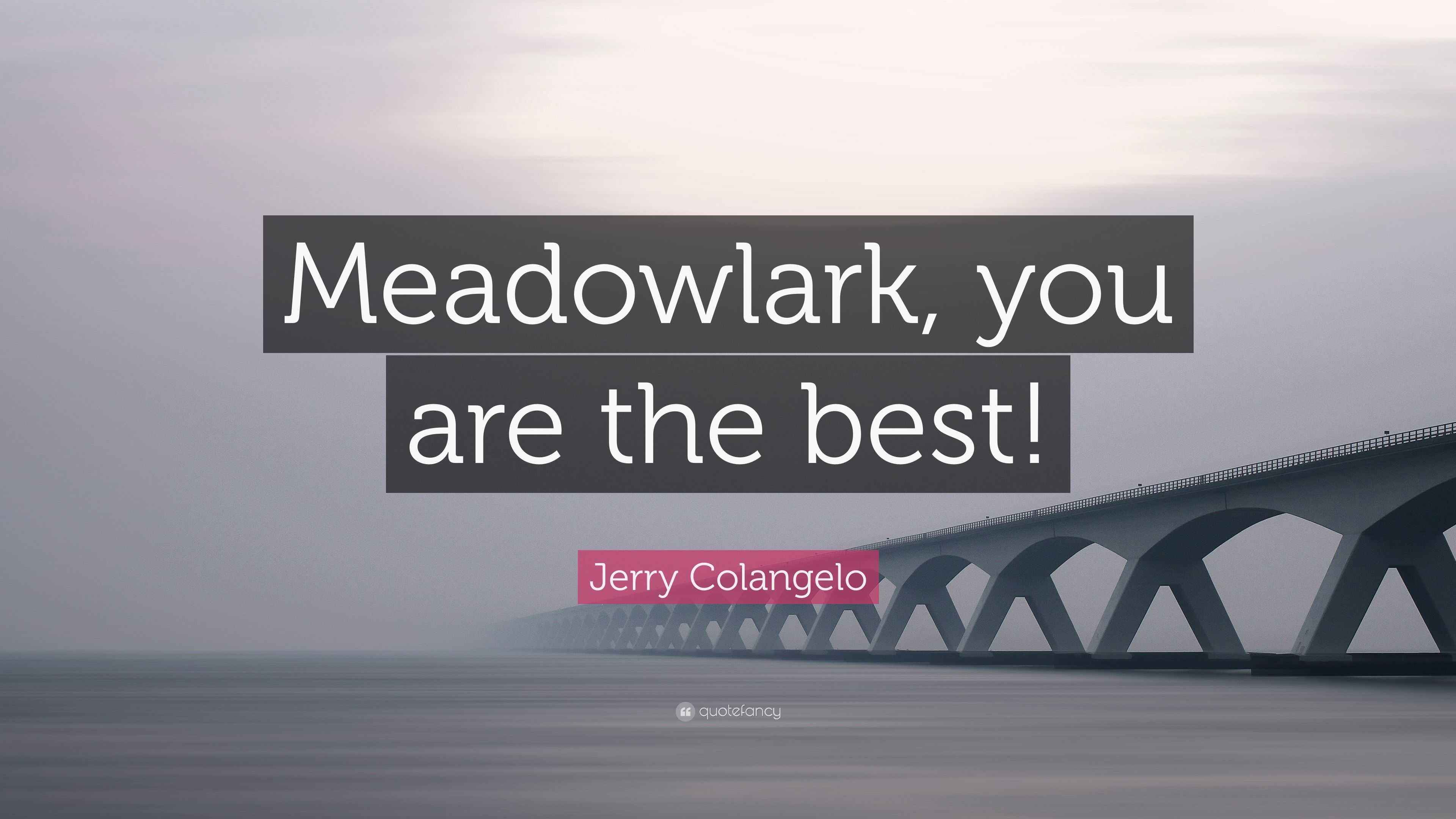 Jerry Colangelo Quote: “Meadowlark, you are the best!”