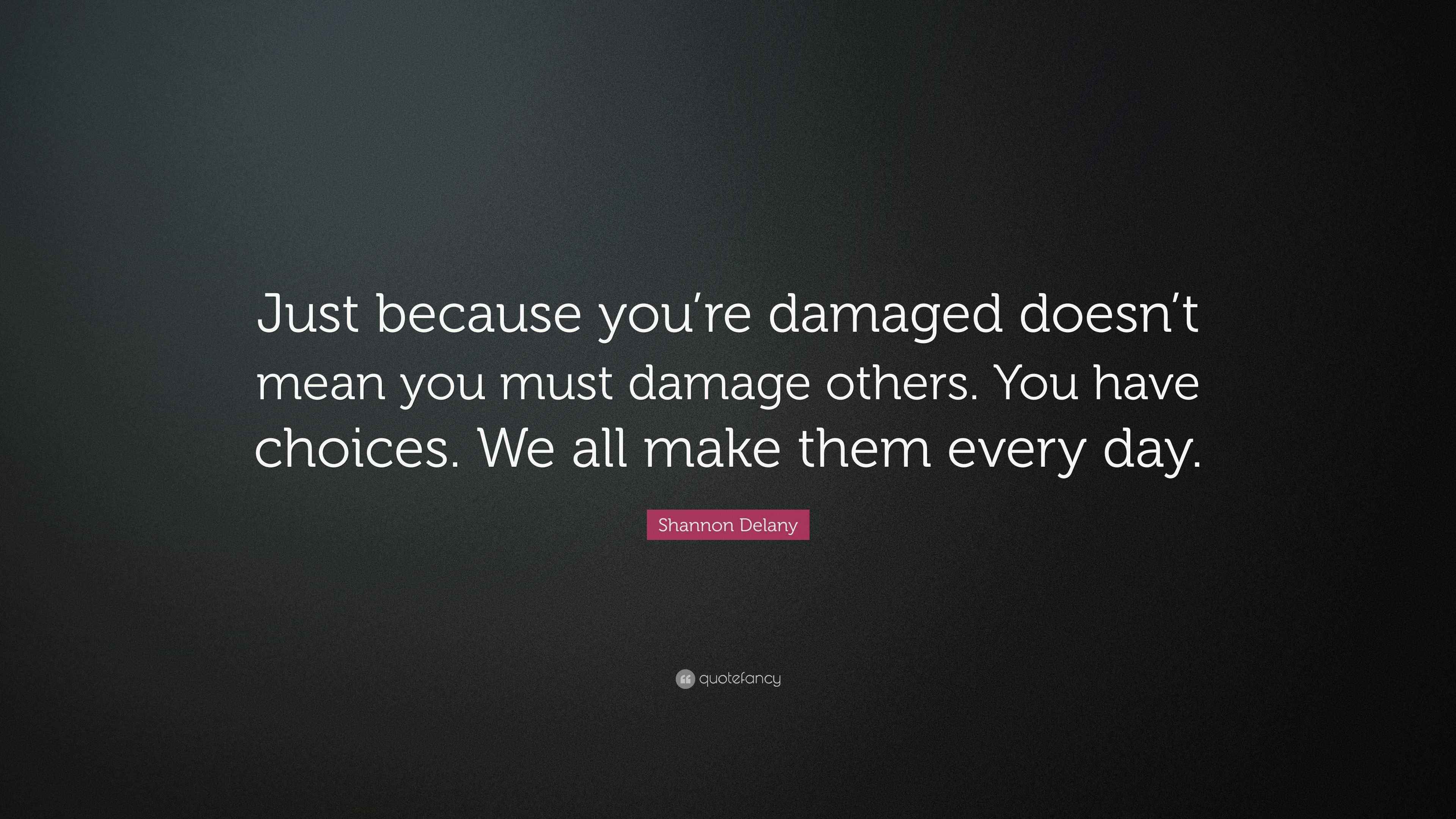 Shannon Delany Quote: “Just because you’re damaged doesn’t mean you ...