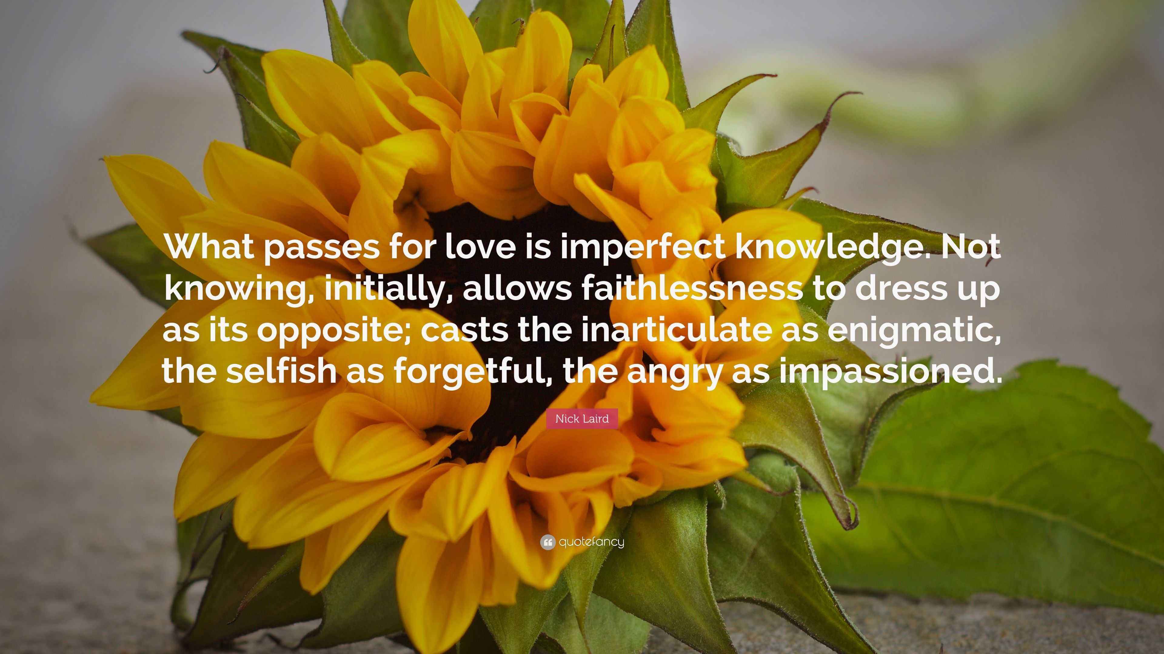 Nick Laird Quote: “What passes for love is imperfect knowledge. Not ...