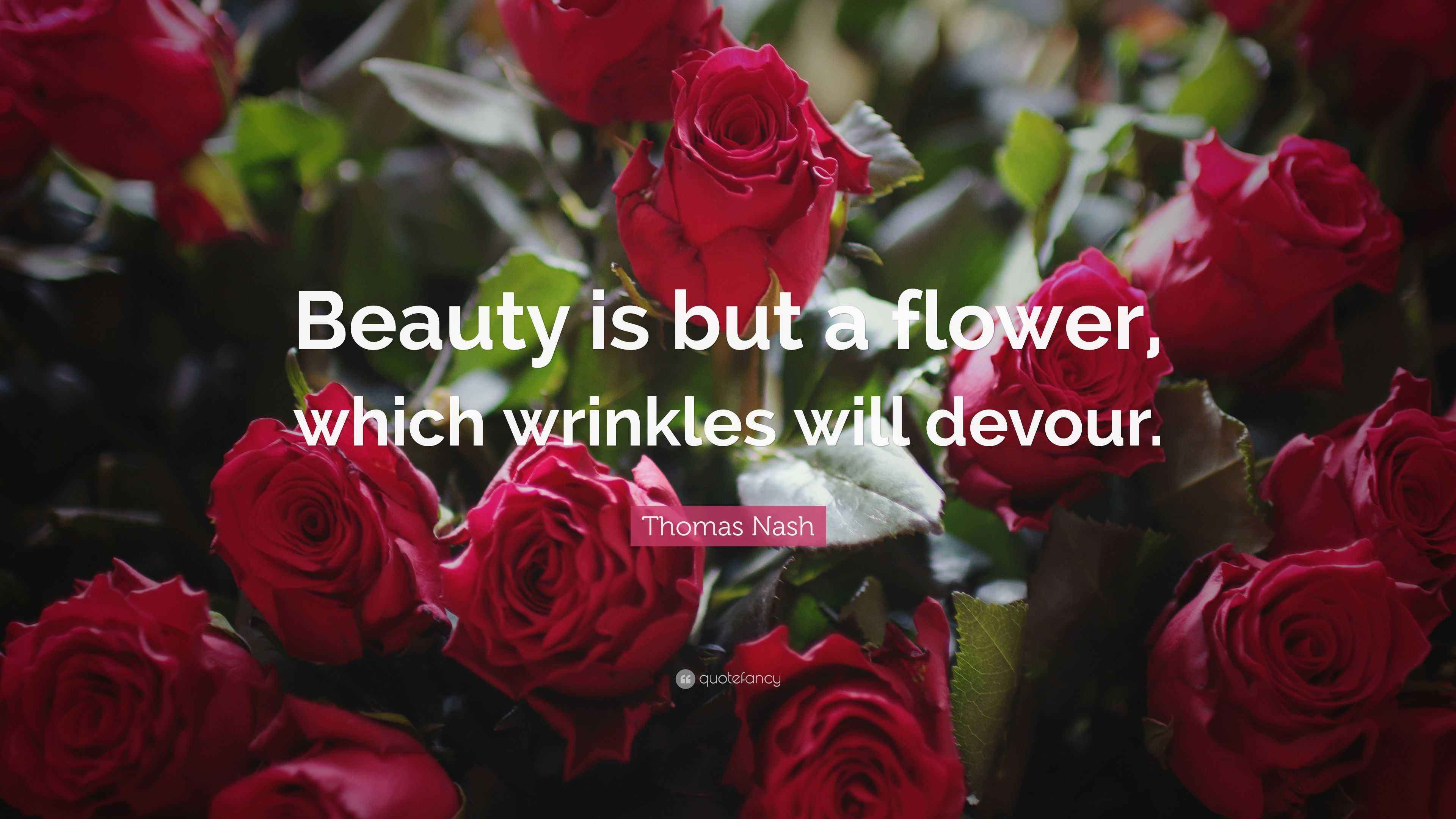 Thomas Nash Quote: “Beauty is but a flower, which wrinkles will devour.”