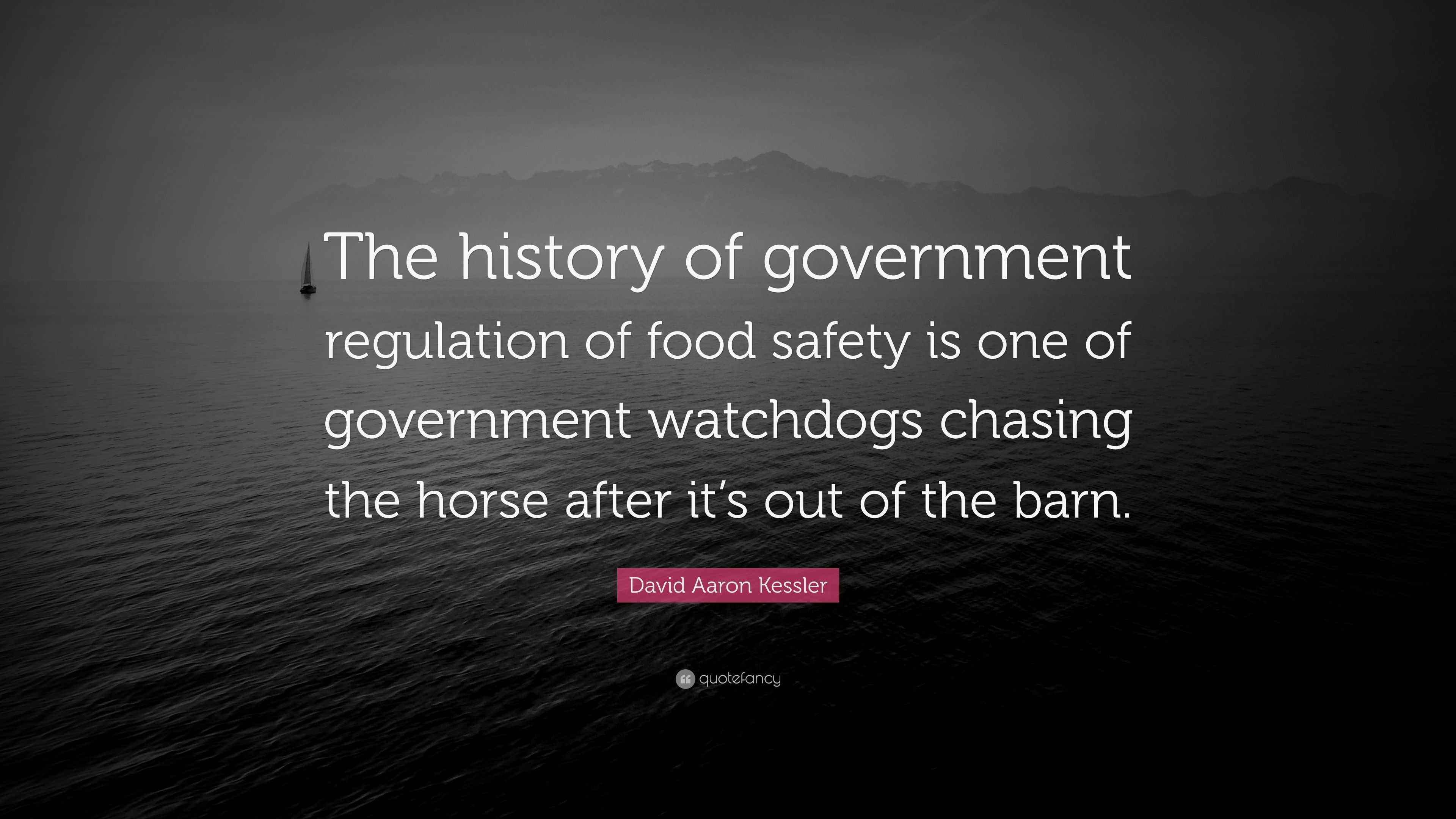 David Aaron Kessler Quote: “The history of government regulation of ...