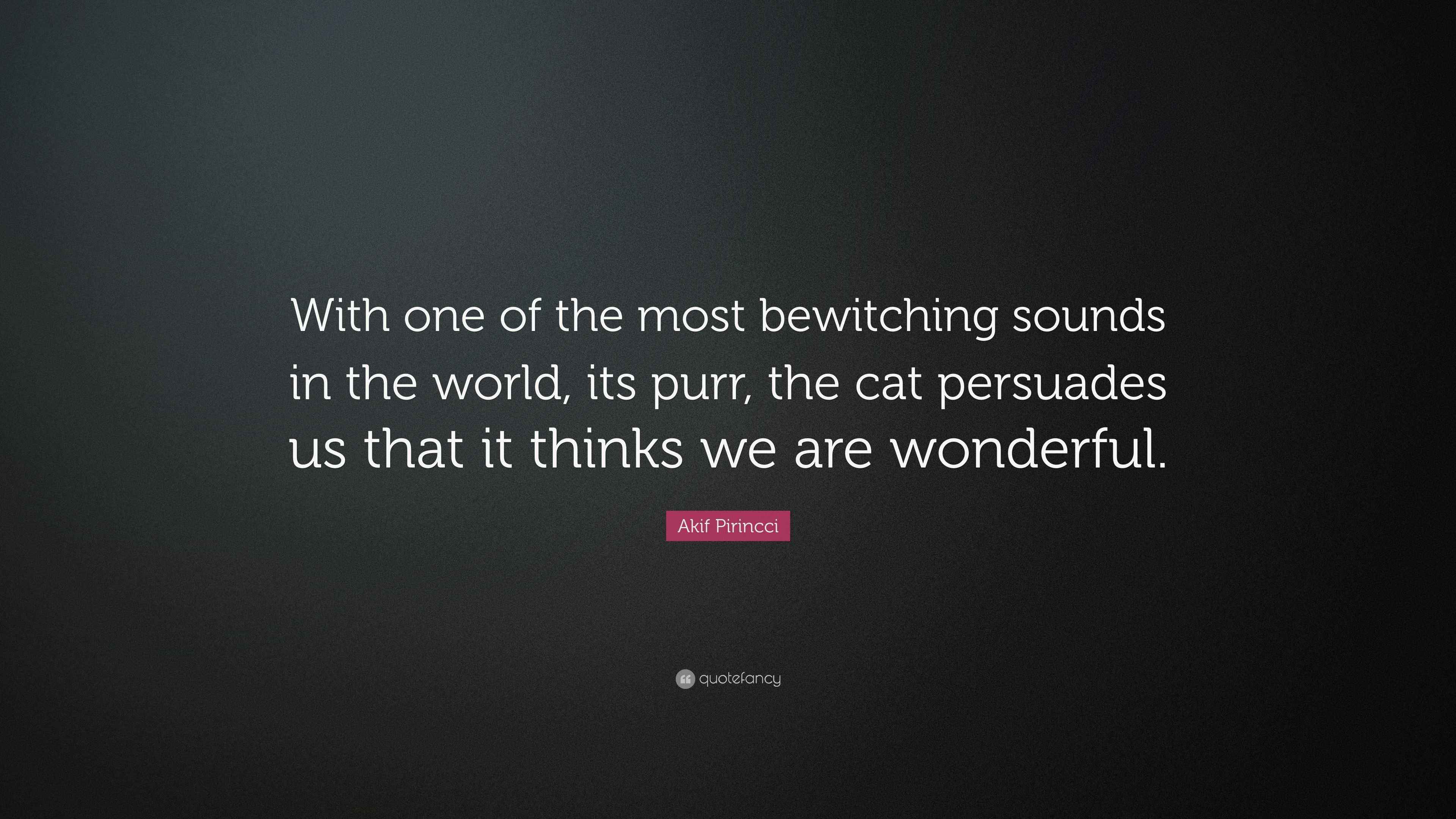 Akif Pirincci Quote: “With one of the most bewitching sounds in the ...
