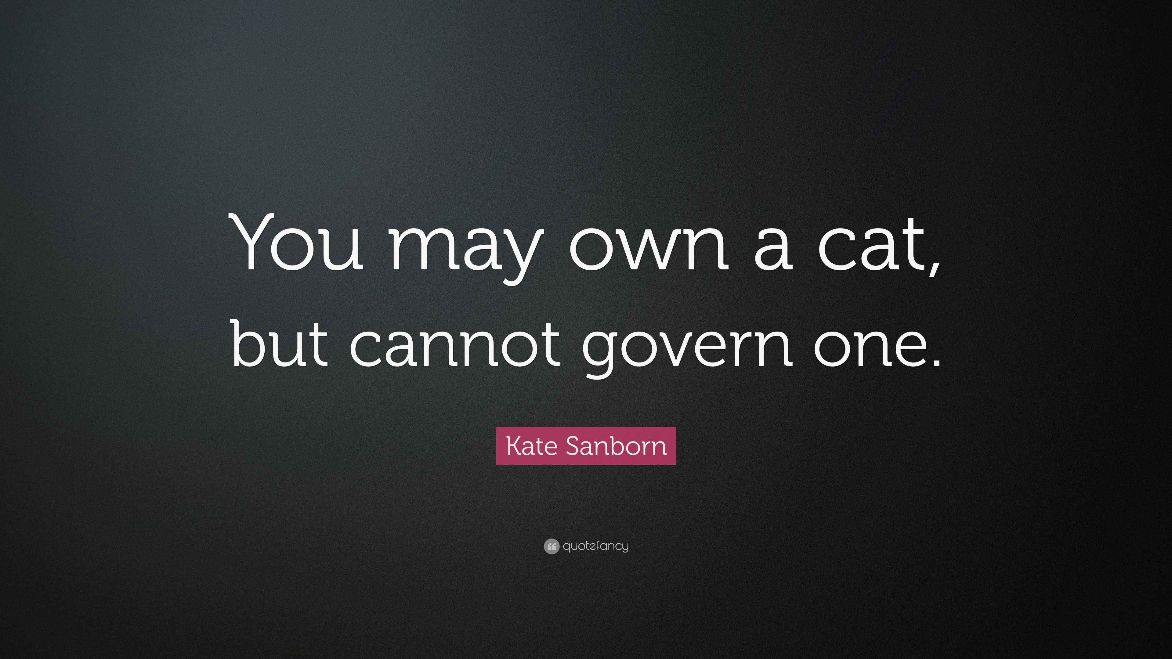 Kate Sanborn Quote: “You may own a cat, but cannot govern one.”