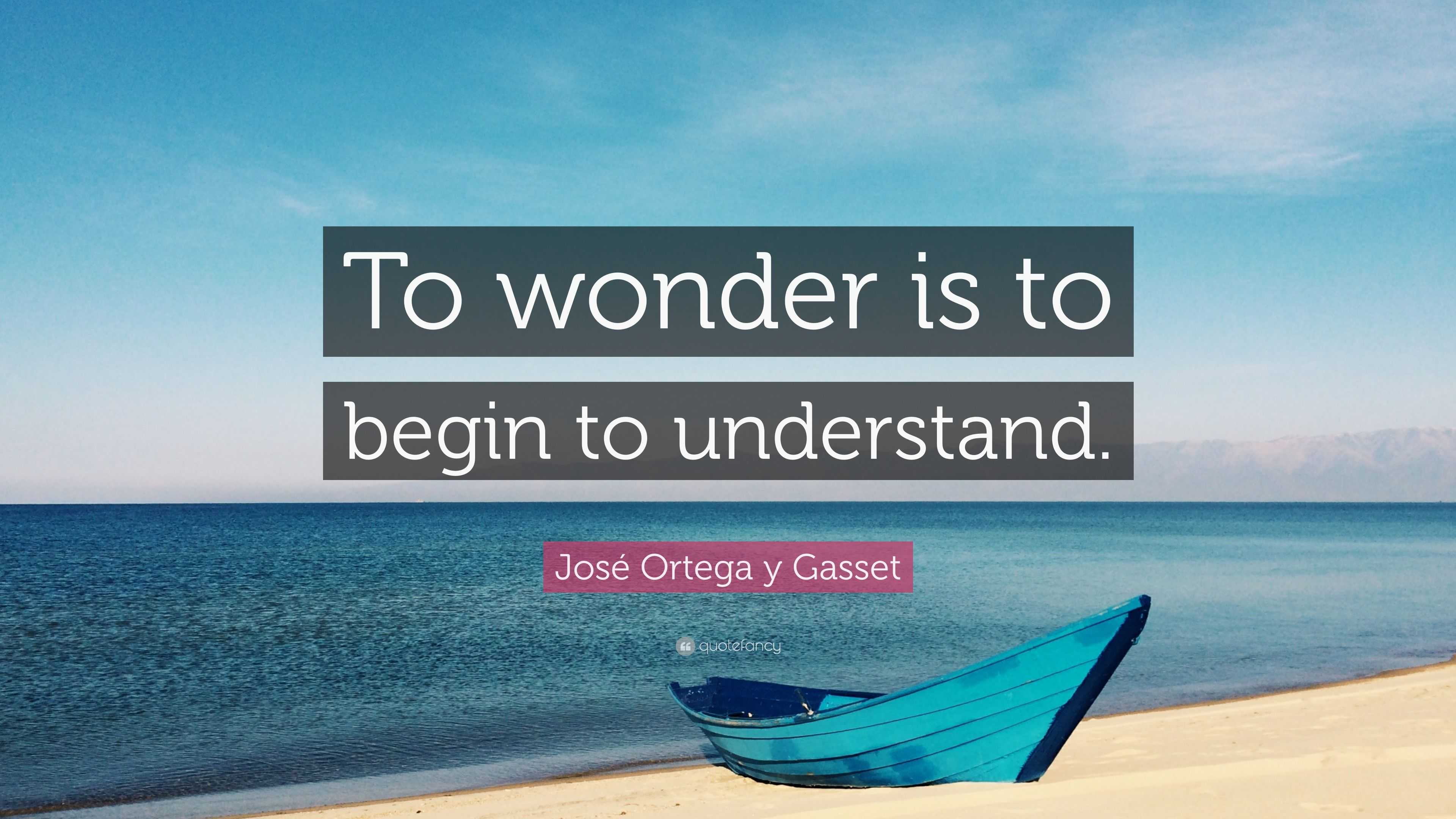 José Ortega y Gasset Quote: “To wonder is to begin to understand.”