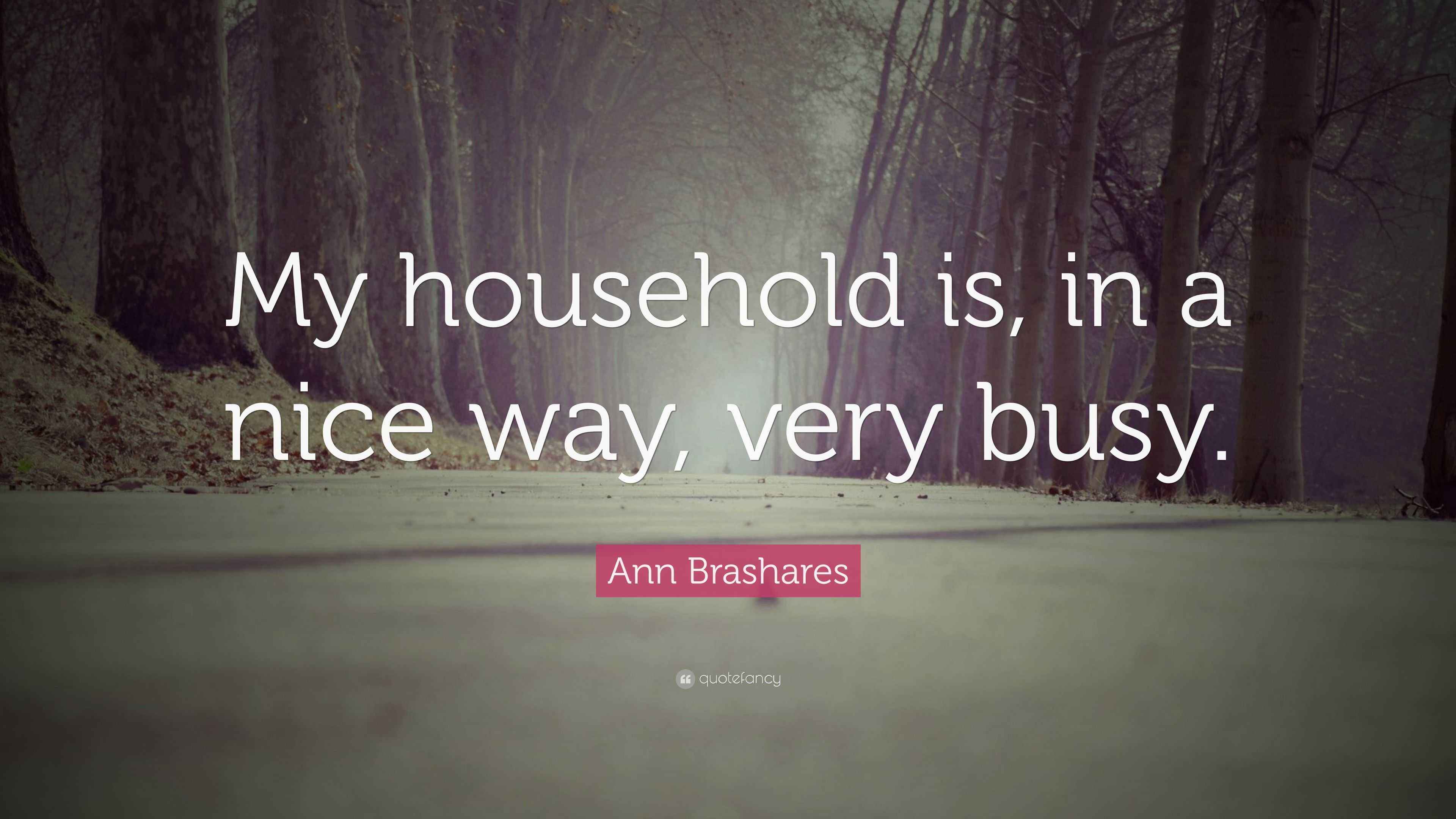 Ann Brashares Quote: “My household is, in a nice way, very busy.”