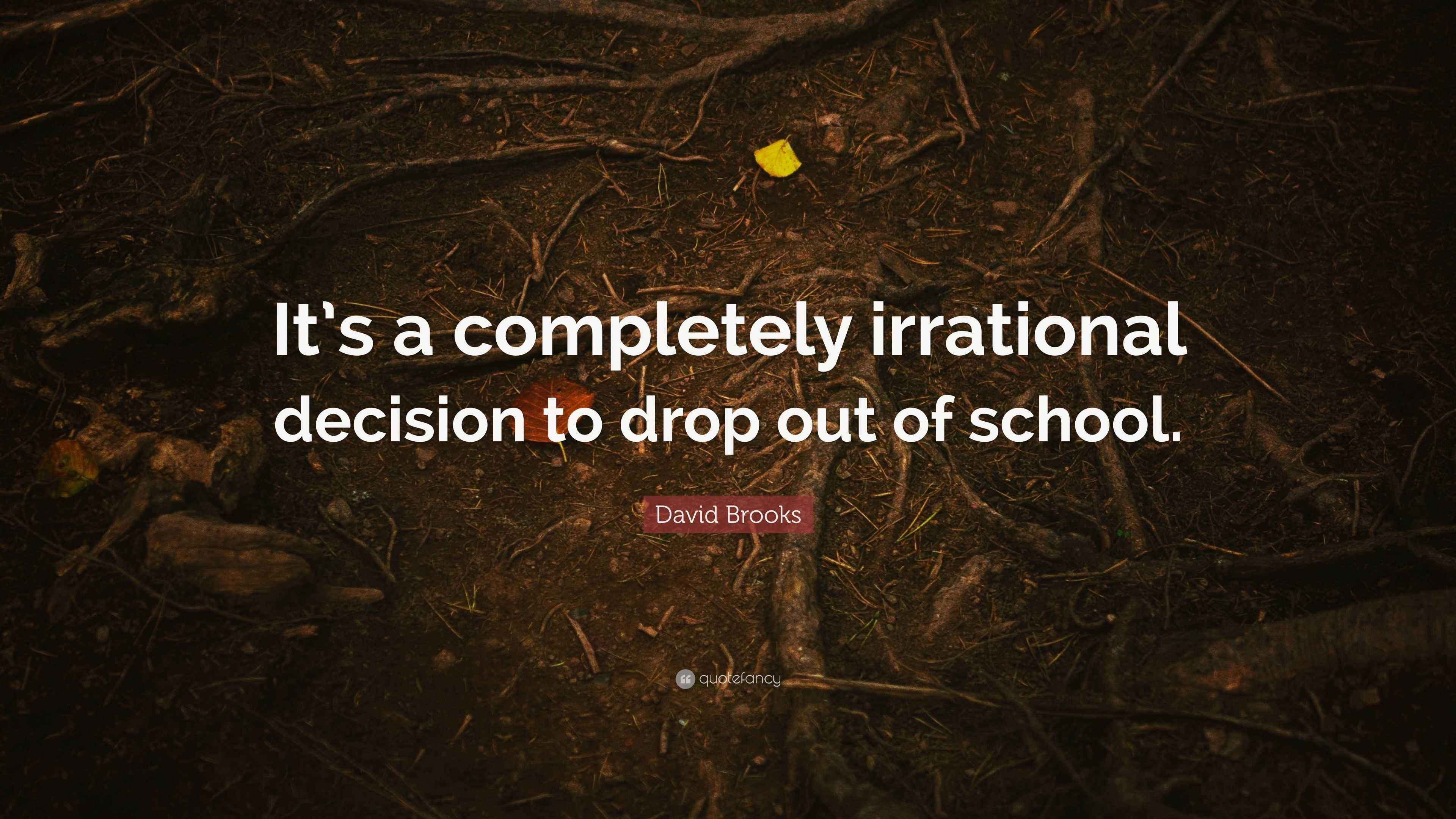 David Brooks Quote: “It’s a completely irrational decision to drop out ...