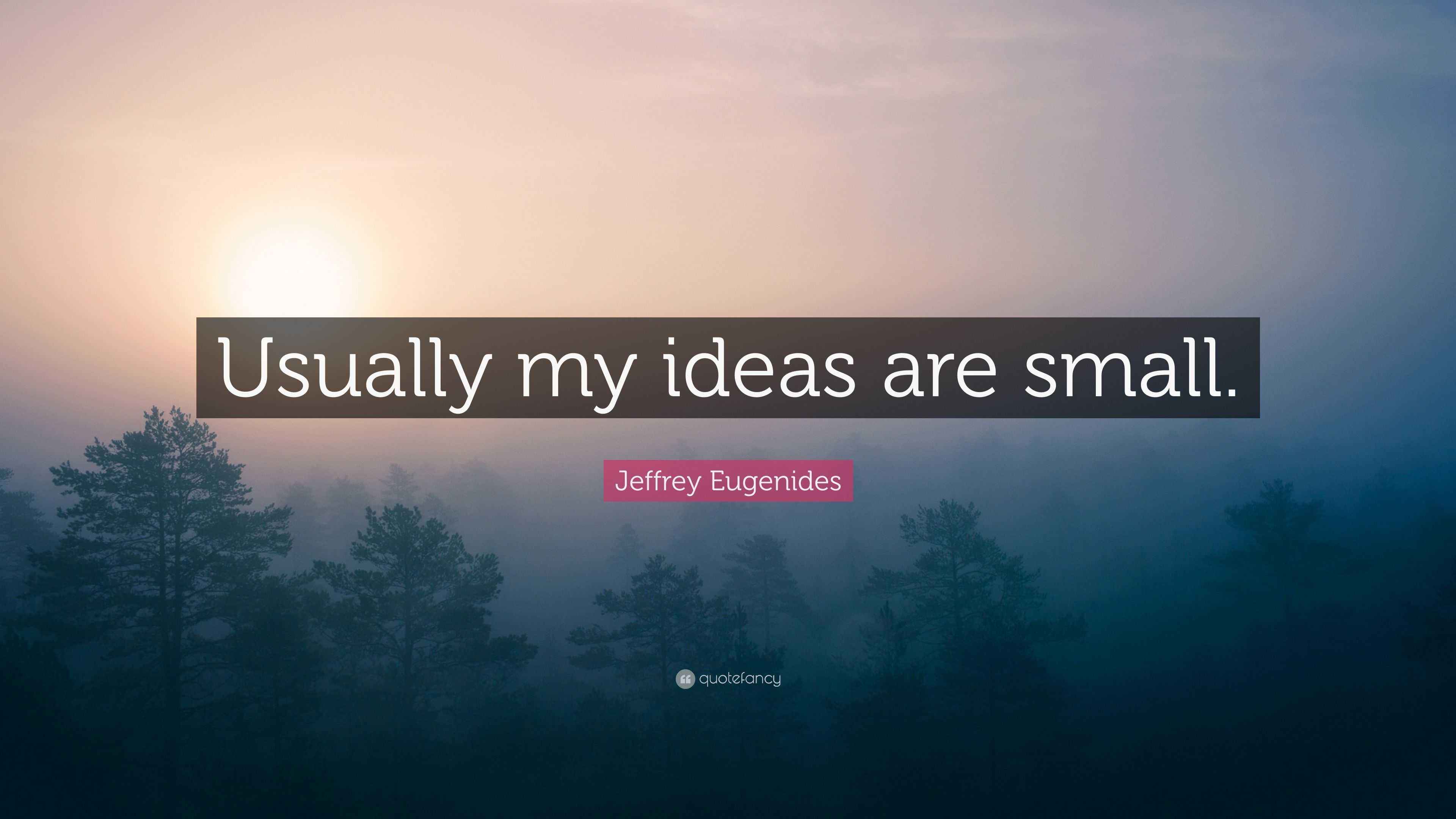 Jeffrey Eugenides Quote: “Usually my ideas are small.”