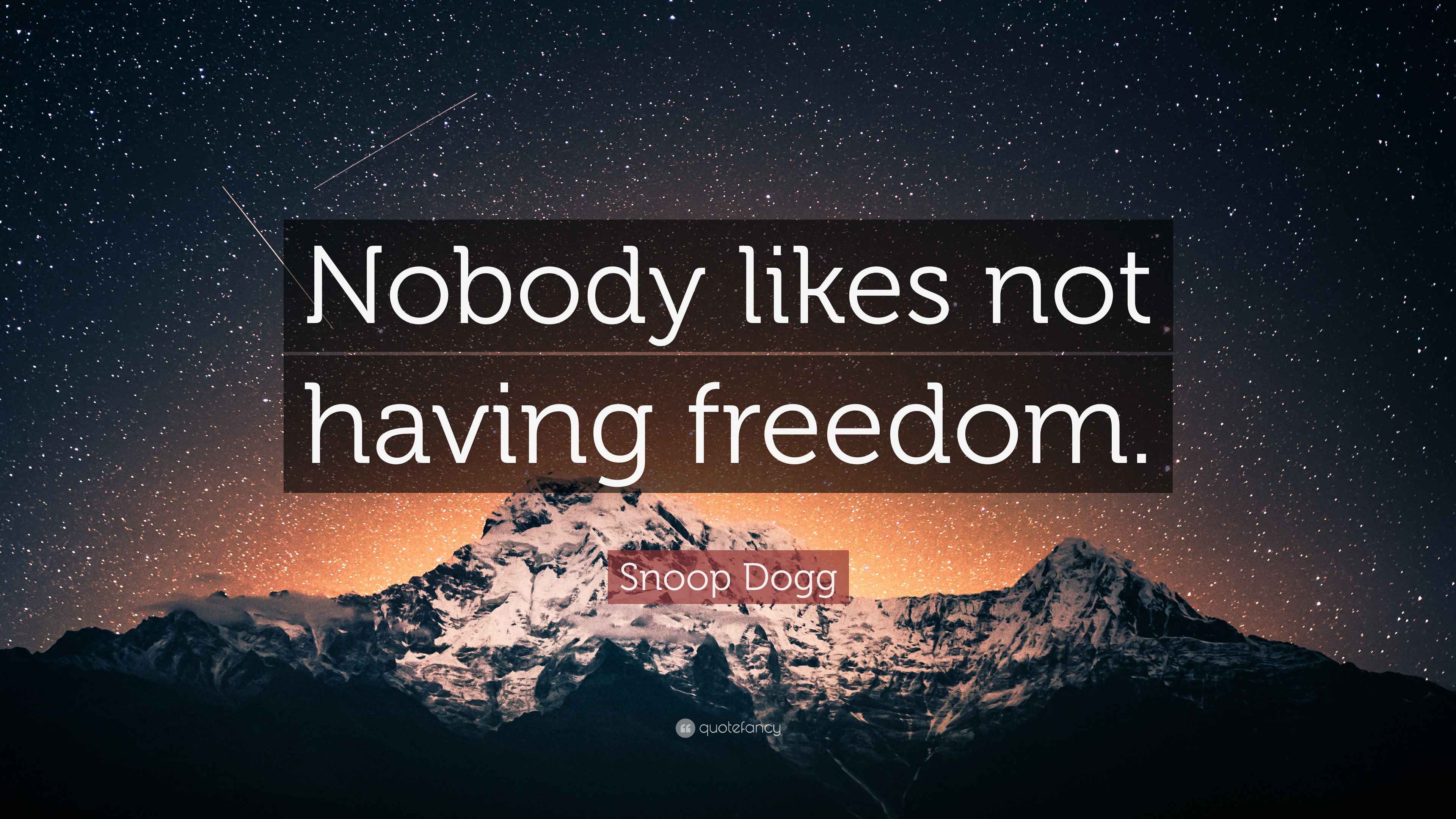 Snoop Dogg Quote: “Nobody likes not having freedom.”