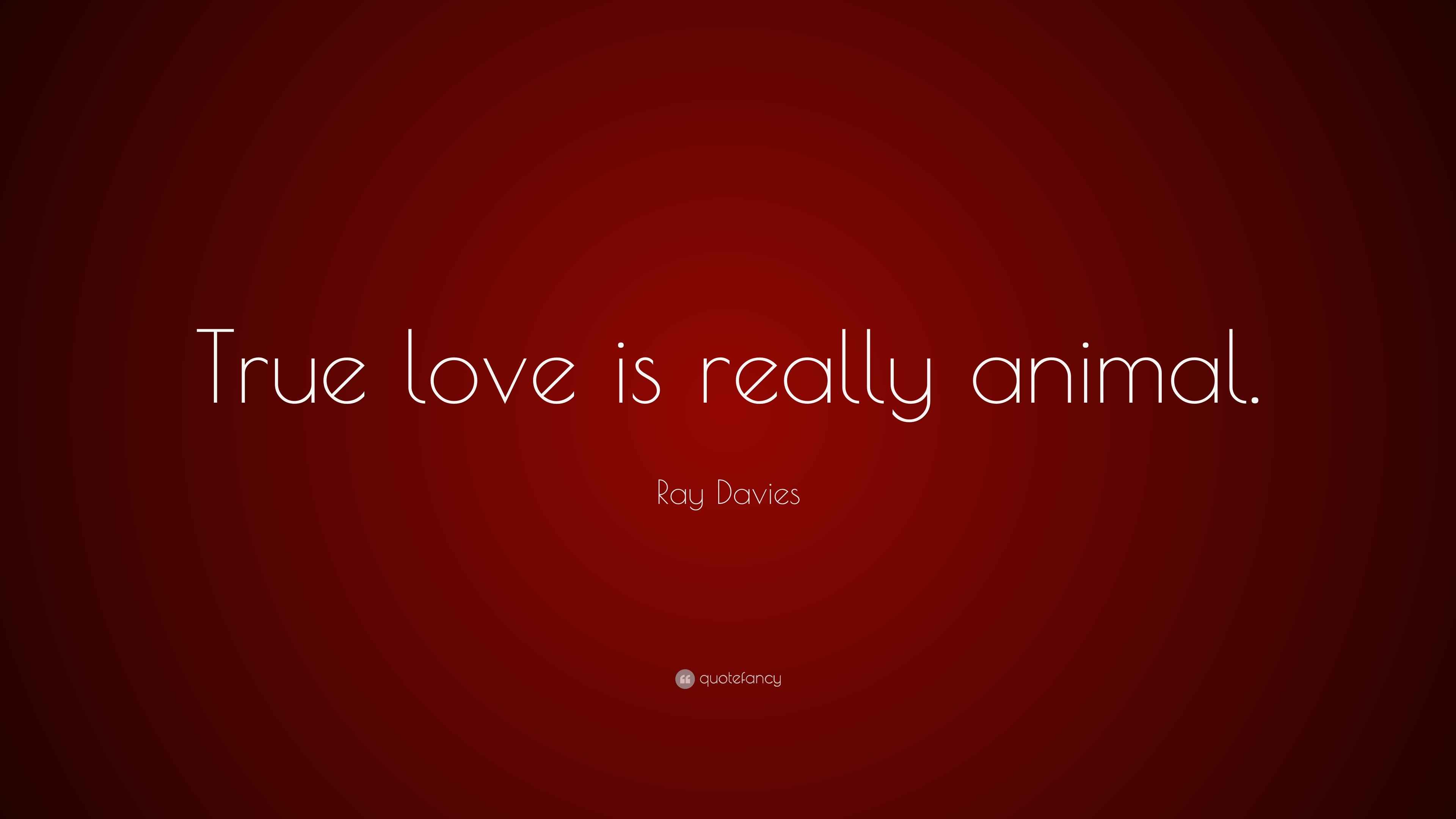Ray Davies Quote: “True love is really animal.”