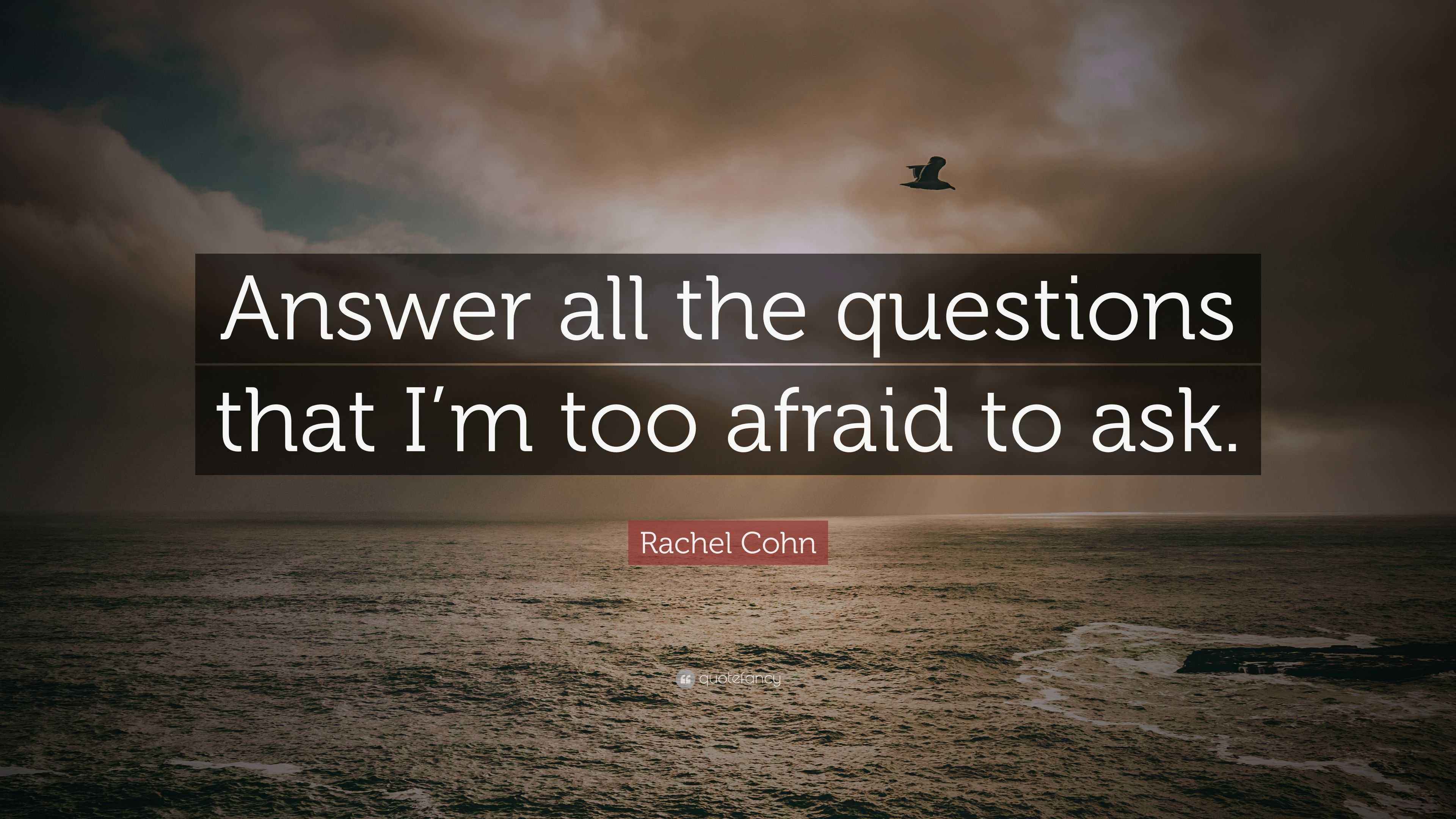 Rachel Cohn Quote: “Answer all the questions that I’m too afraid to ask.”