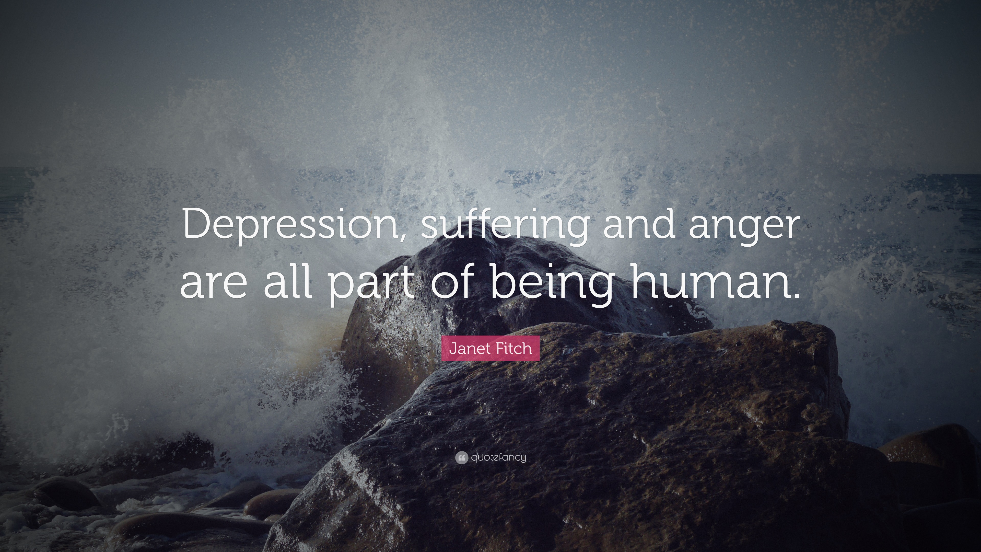Janet Fitch Quote: “Depression, suffering and anger are all part of ...