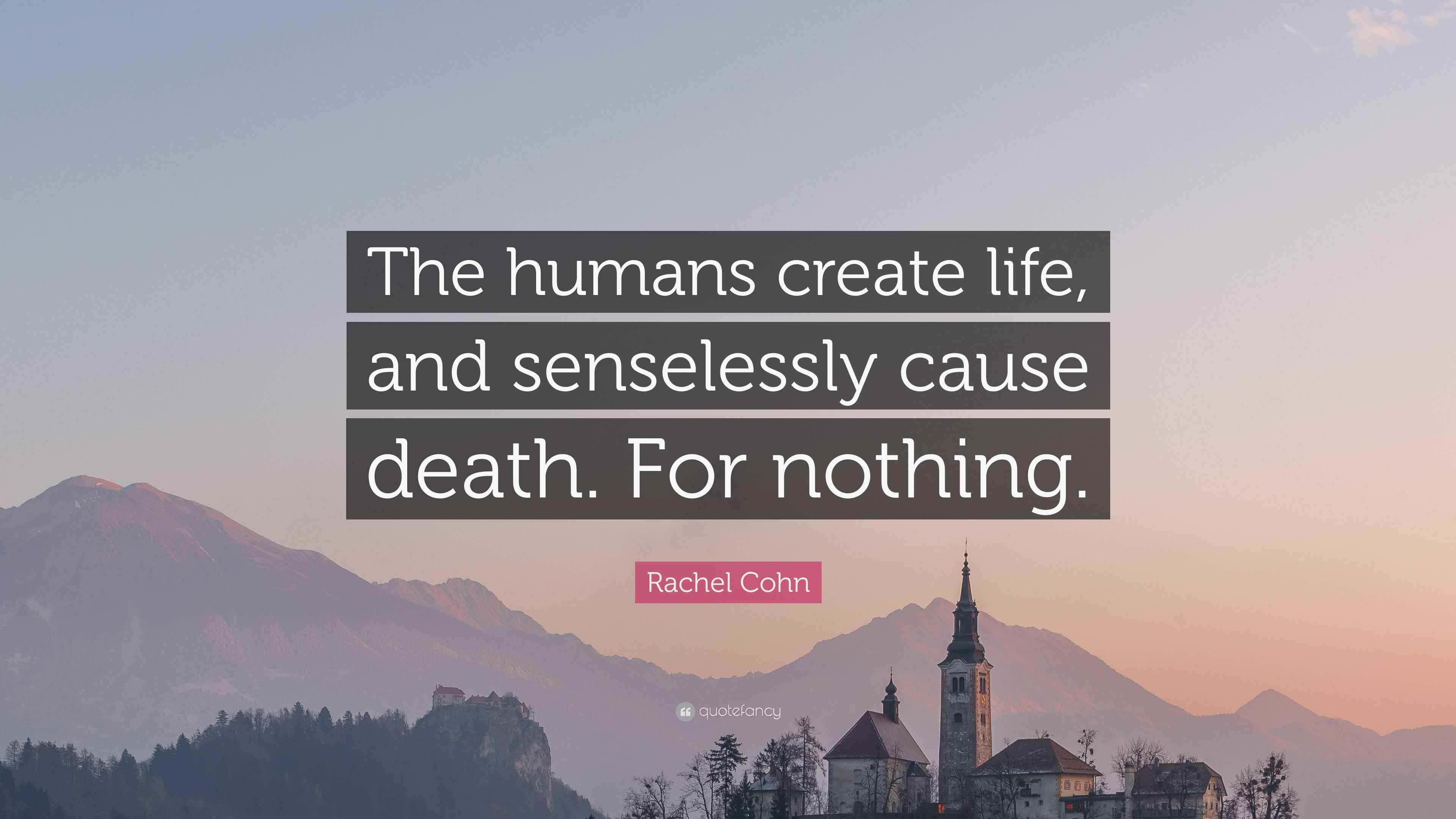Rachel Cohn Quote: “The humans create life, and senselessly cause death ...