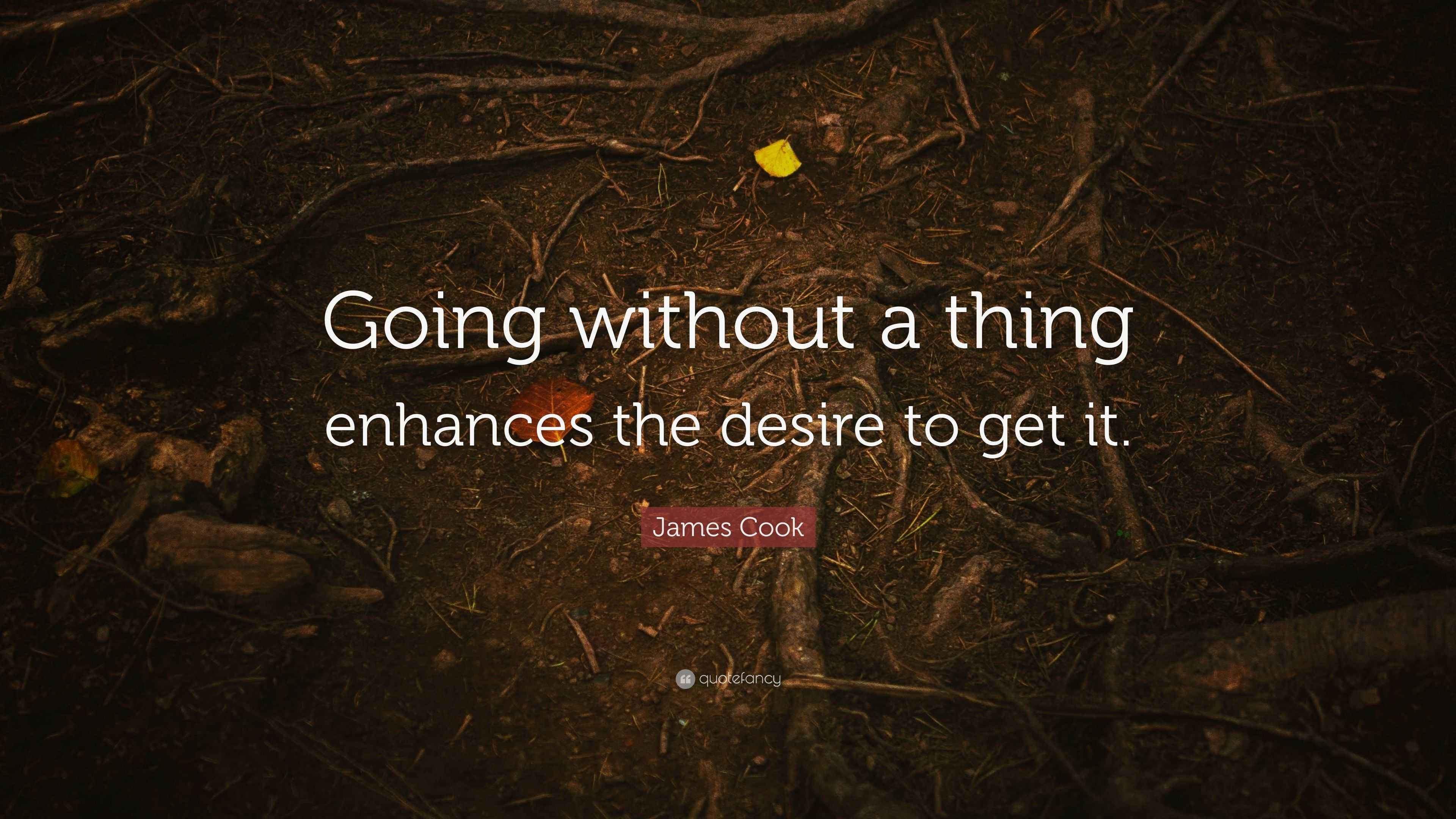 James Cook Quote: “Going without a thing enhances the desire to get it.”