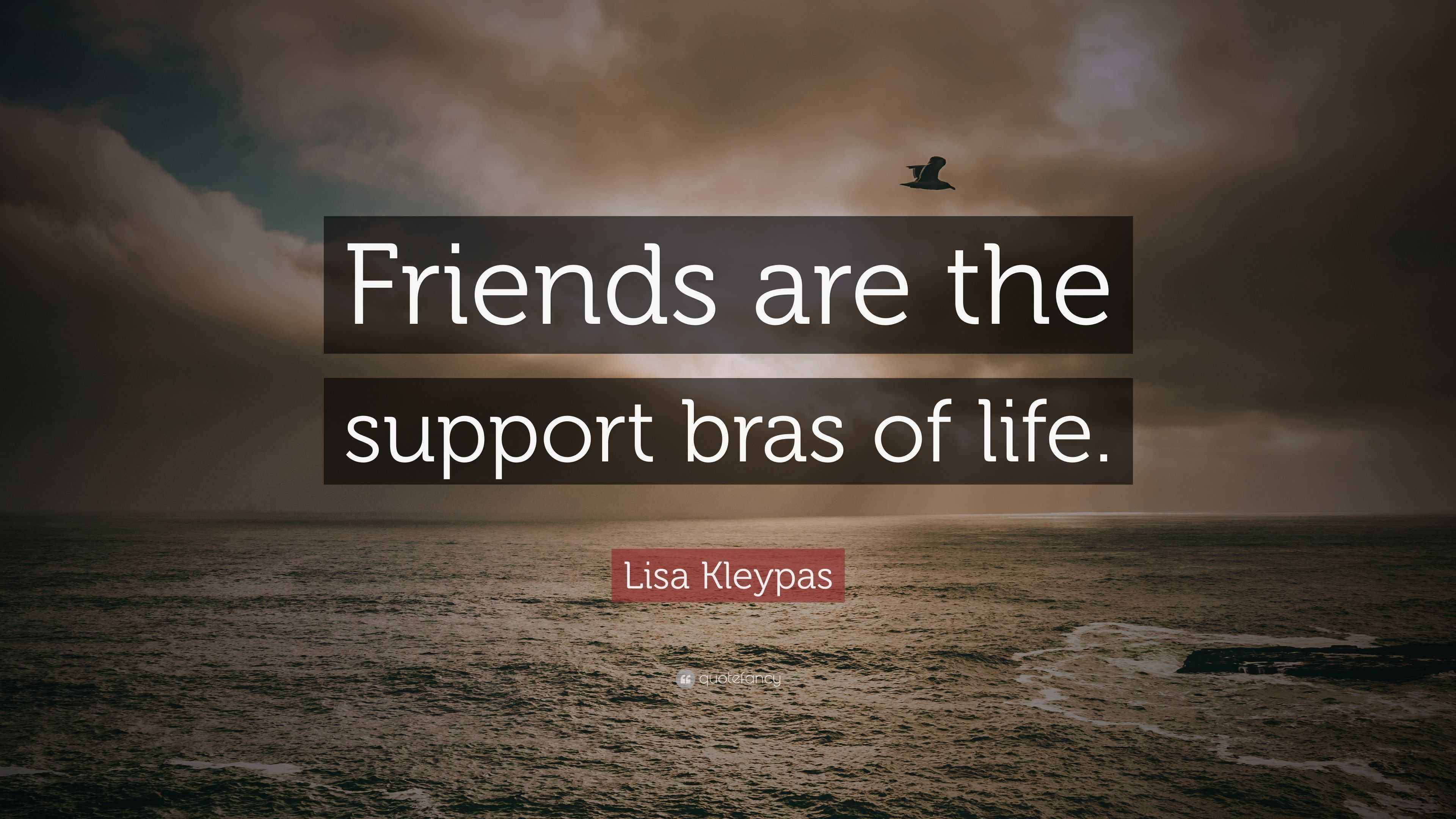 Lisa Kleypas Quote: “Friends are the support bras of life.”
