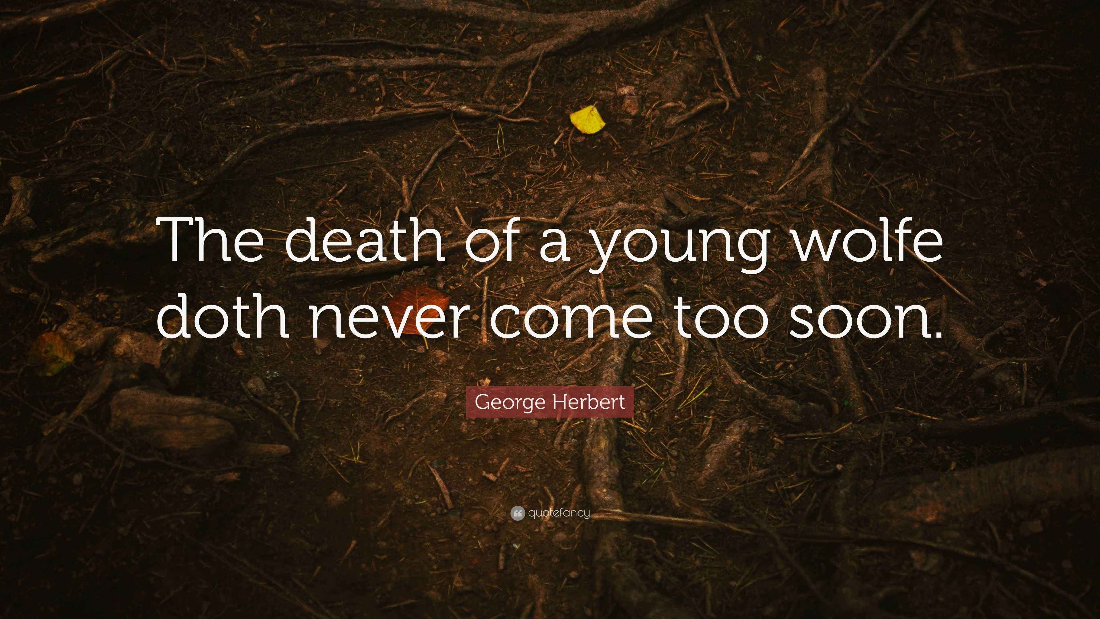 George Herbert Quote: “The death of a young wolfe doth never come too ...