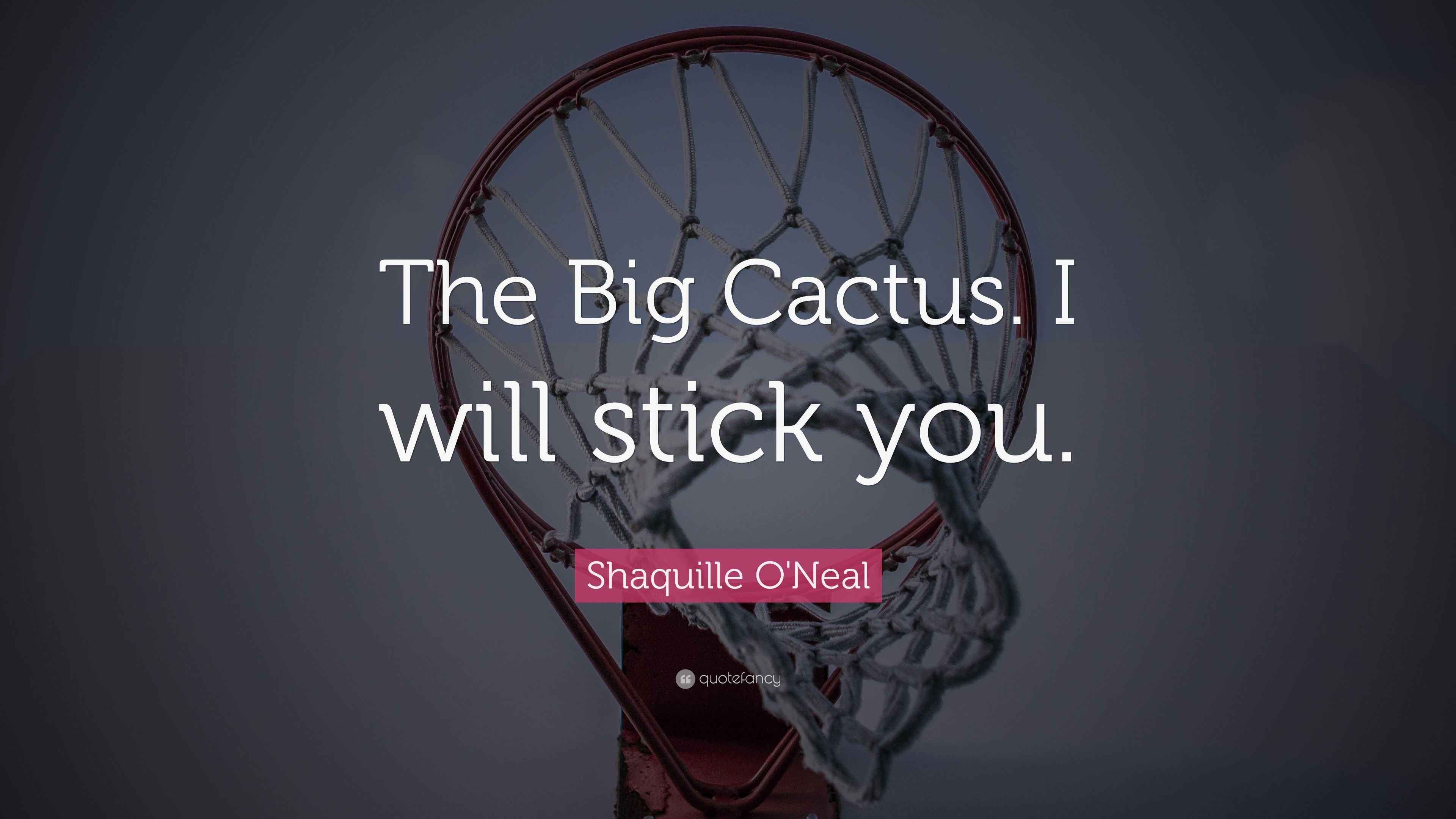 Shaquille O'Neal Quote: “The Big Cactus. I will stick you.”