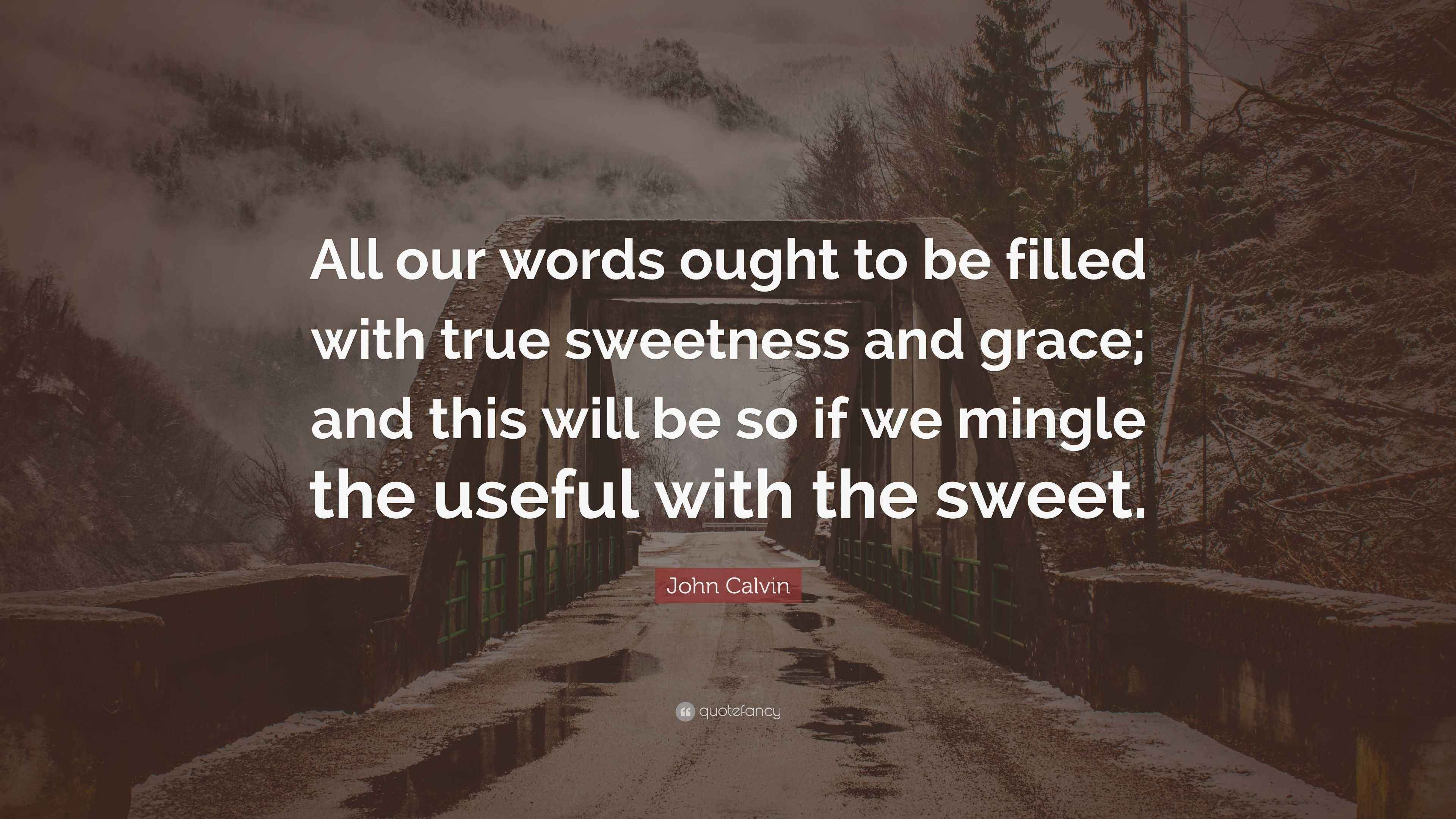 John Calvin Quote: “All our words ought to be filled with true ...