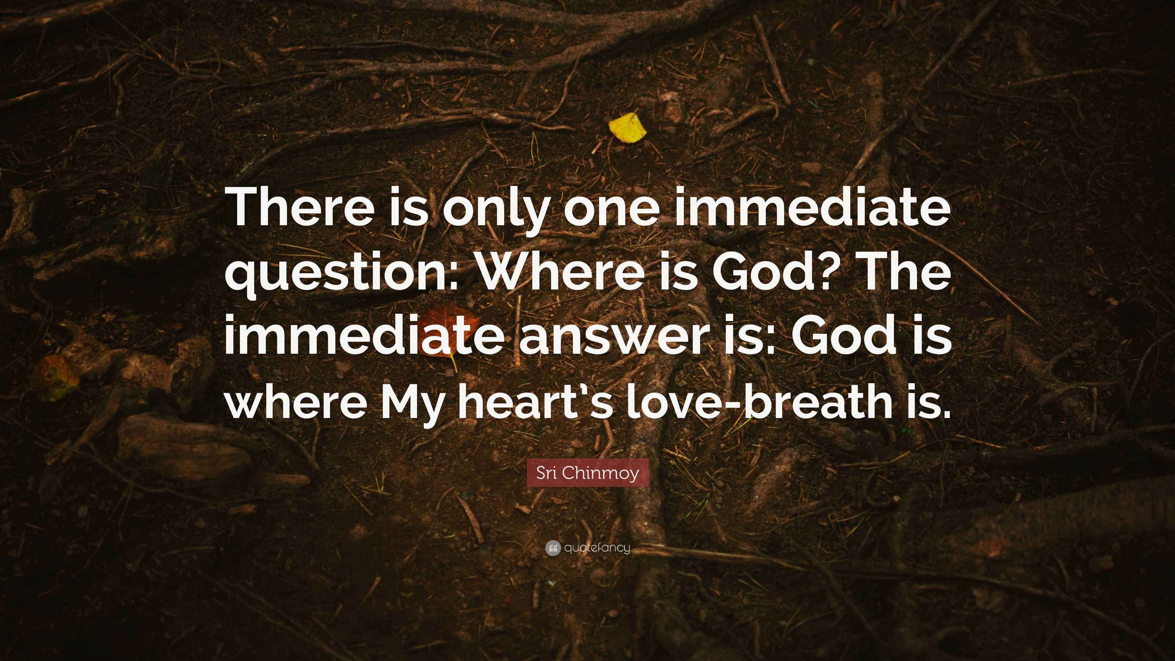 Sri Chinmoy Quote: “There is only one immediate question: Where is God ...