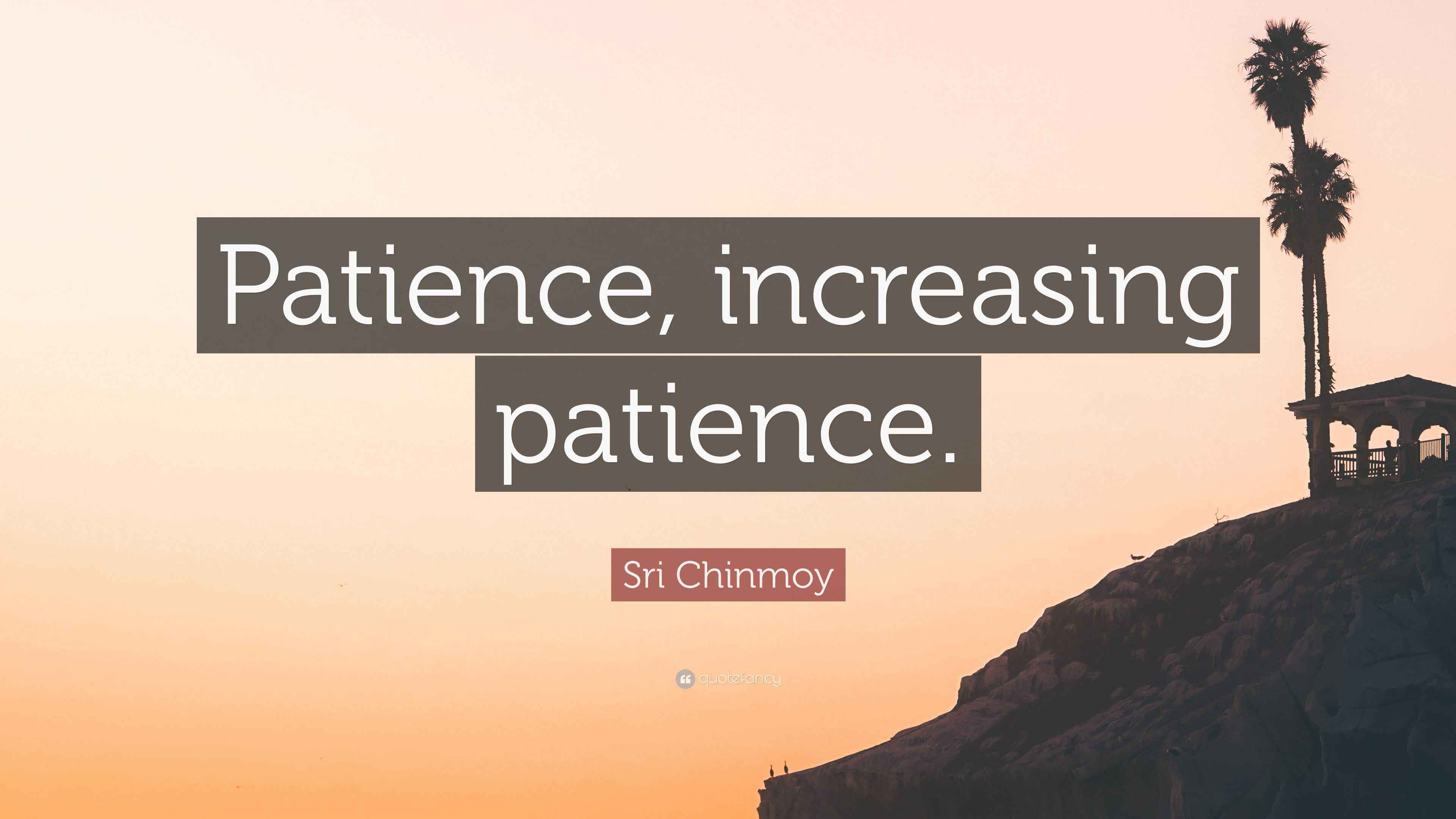 Sri Chinmoy Quote: “Patience, increasing patience.”