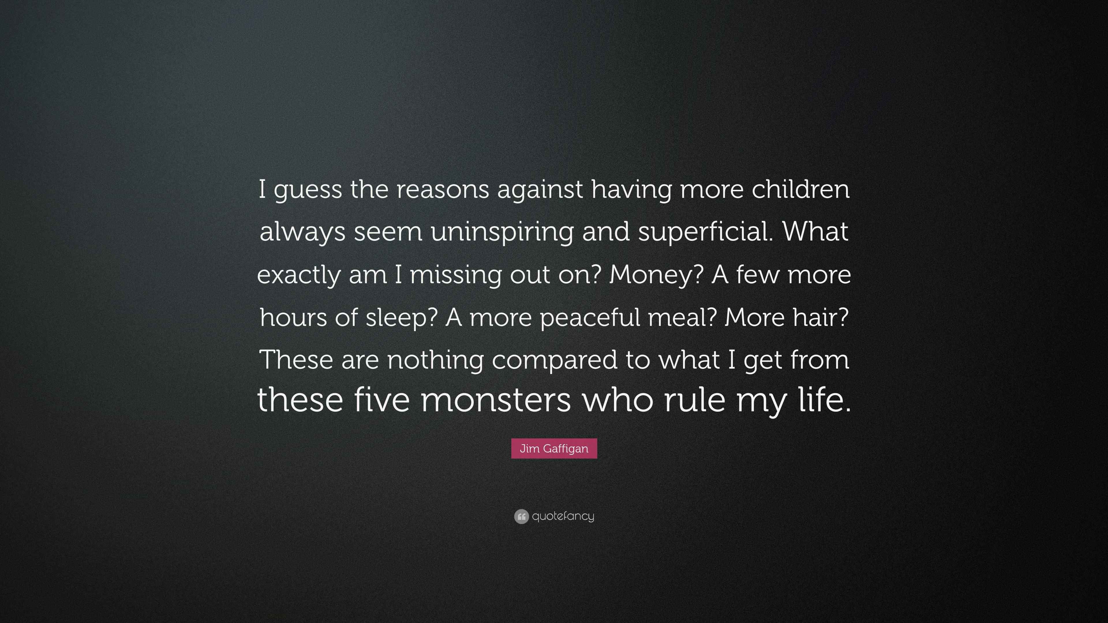Jim Gaffigan Quote: “I guess the reasons against having more children ...