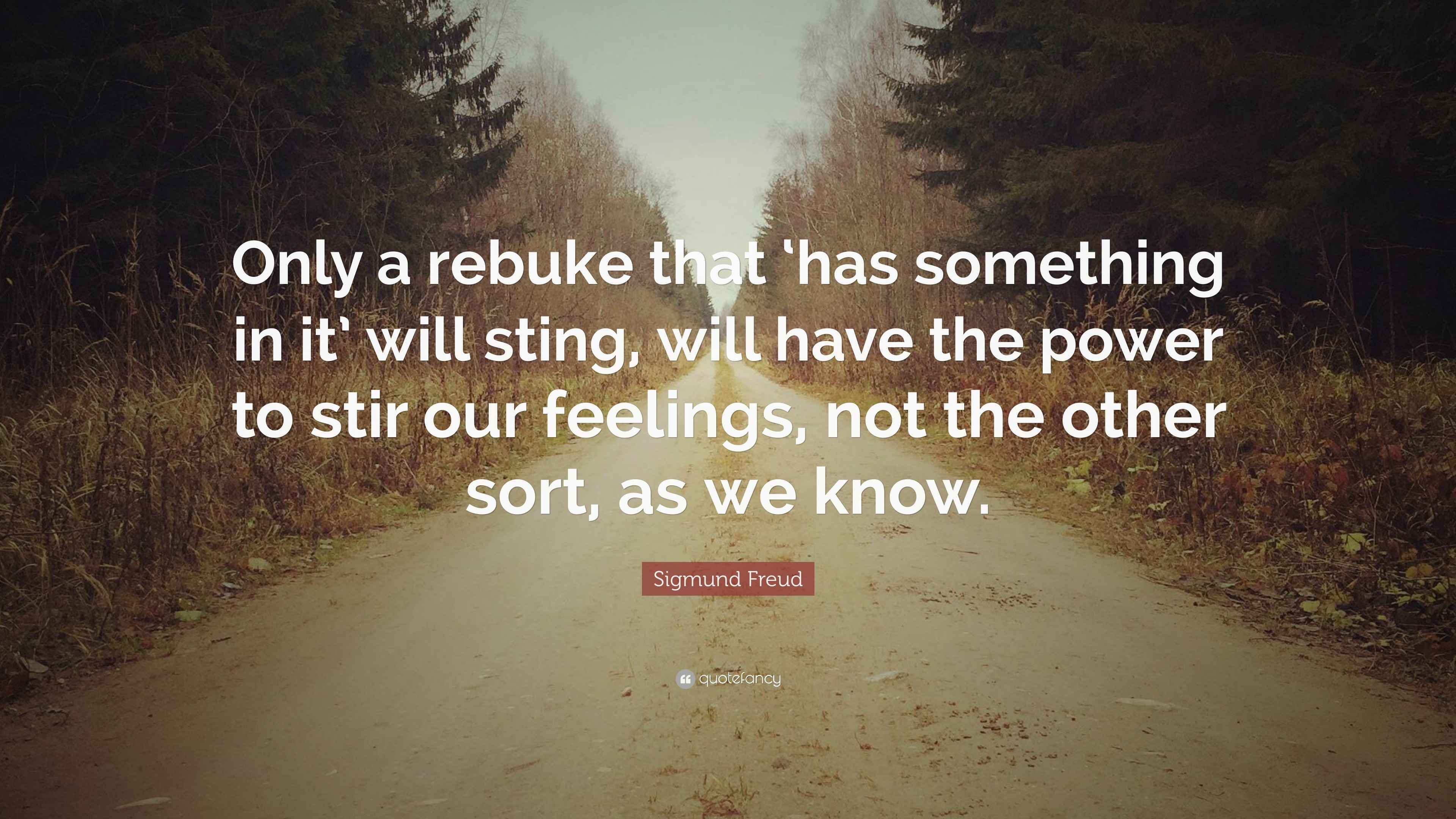 Sigmund Freud Quote: “Only a rebuke that ‘has something in it’ will ...